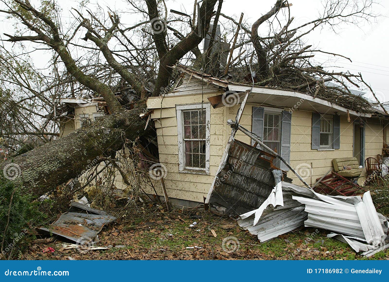 Home Destroyed by Falling Tree Stock Photo - Image of individual ...