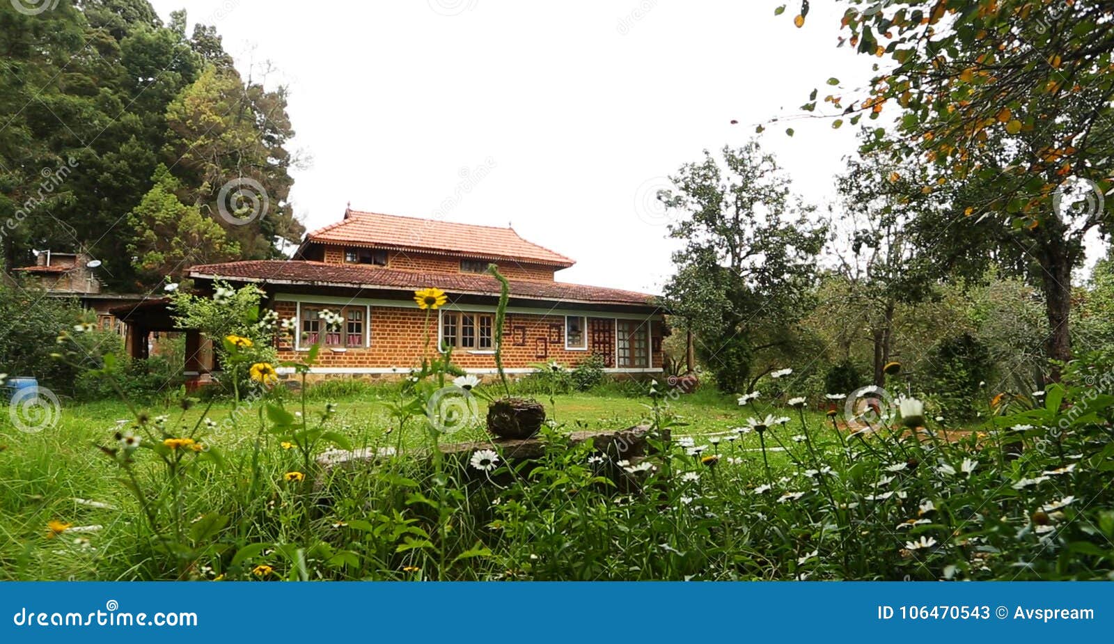 Home Exterior, View of the Exterior of a Luxury Home with Daisy Flowers ...