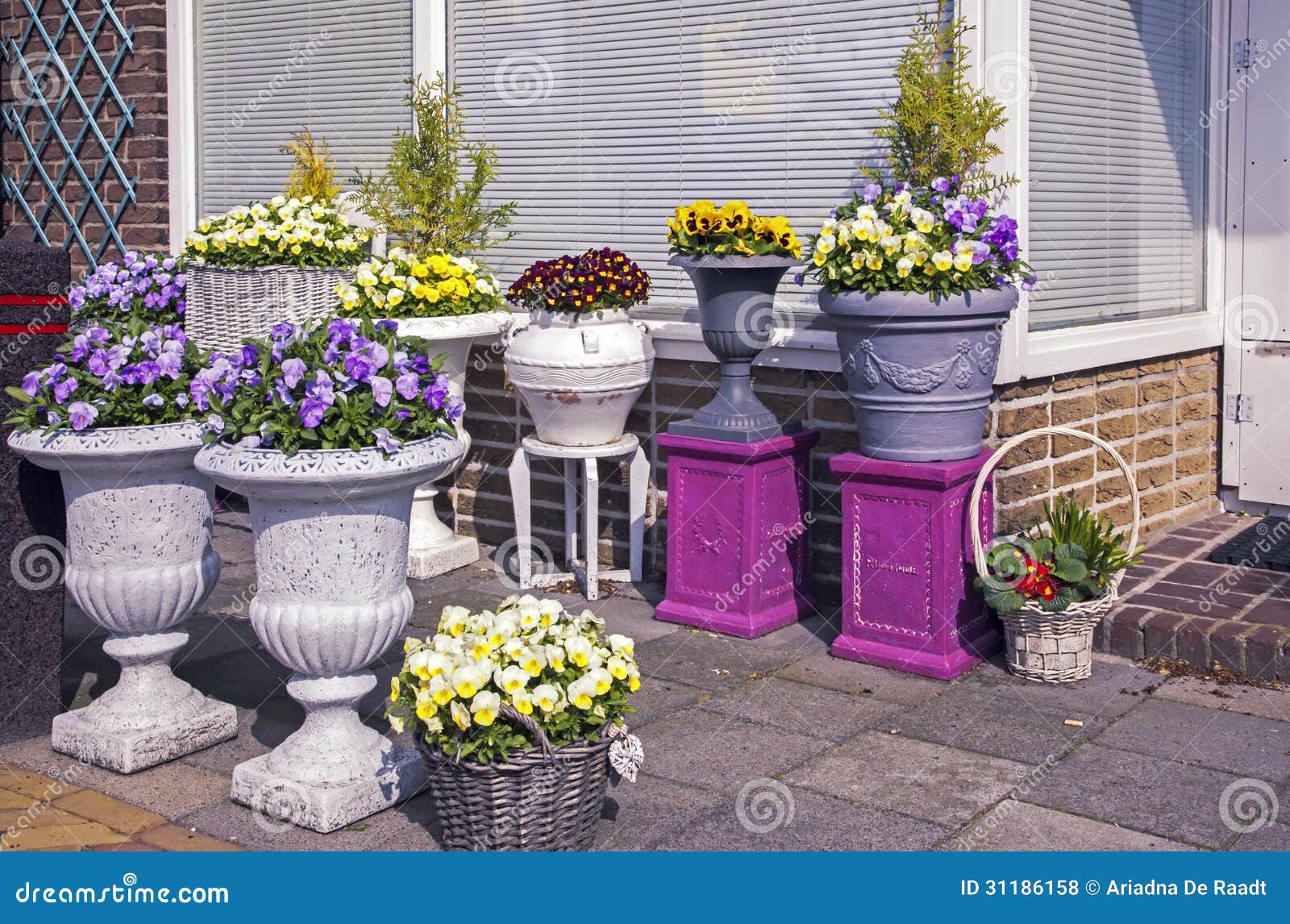 Home flowers by spring stock photo. Image of summer, rest - 31186158