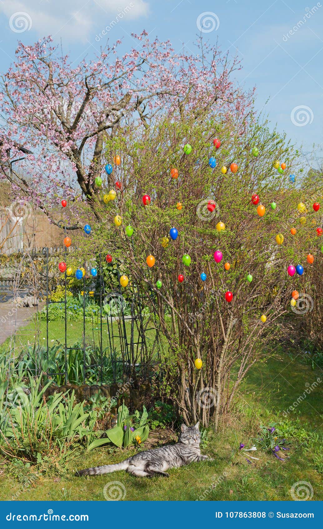 Home Garden with Easter Bush, Colorful Easter Eggs and Tabby Cat Stock ...
