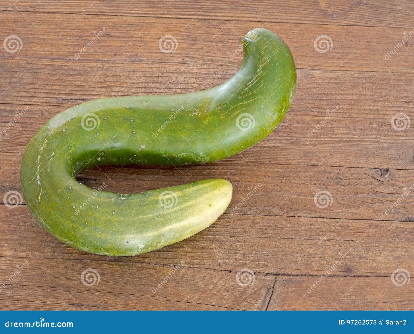 Home Grown Curly Cucumber Stock Photos - Free & Royalty-Free Stock ...