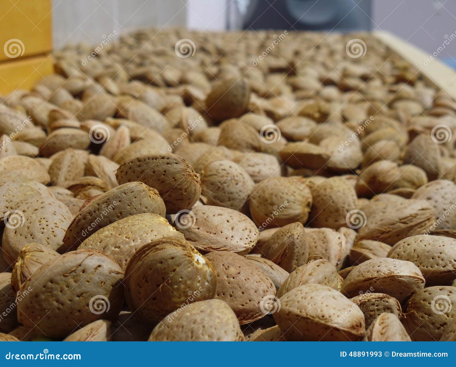 Home Grown, Drying Almonds. Stock Image - Image of almonds, nuts: 48891993