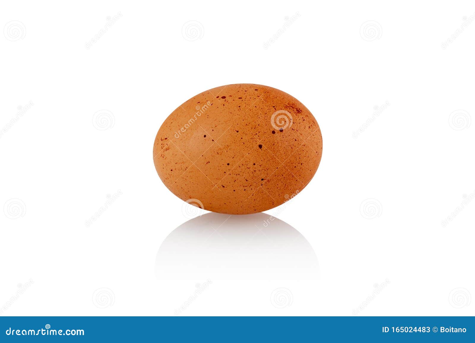 Home Growth Brown Chicken Egg Isolated On White Background With Shadow ...
