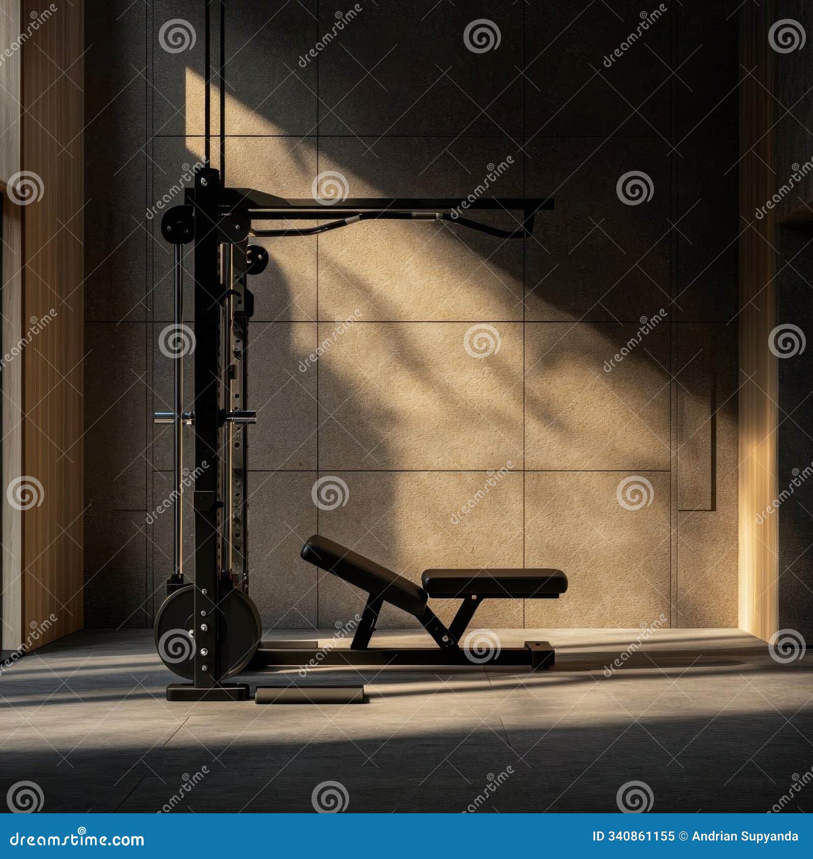Home Gym Setup with Weight Machine and Bench Stock Illustration ...