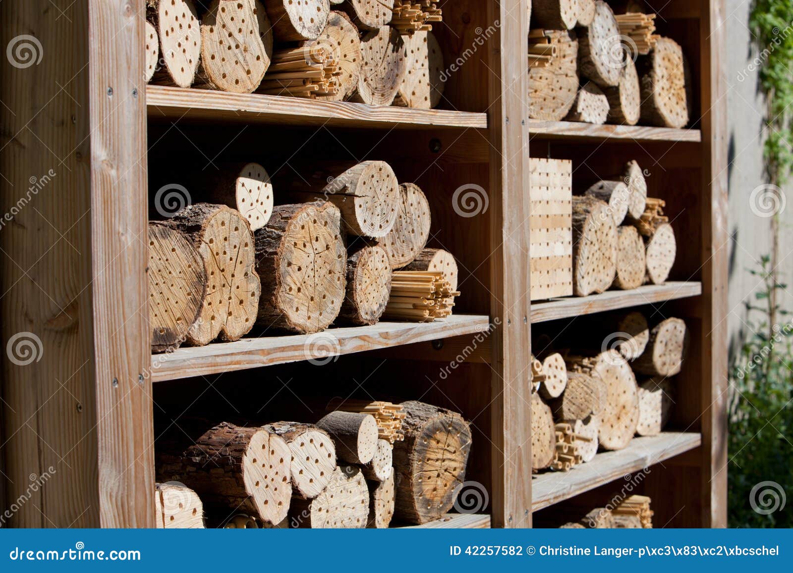 Home for insect stock photo. Image of country, nesting - 42257582