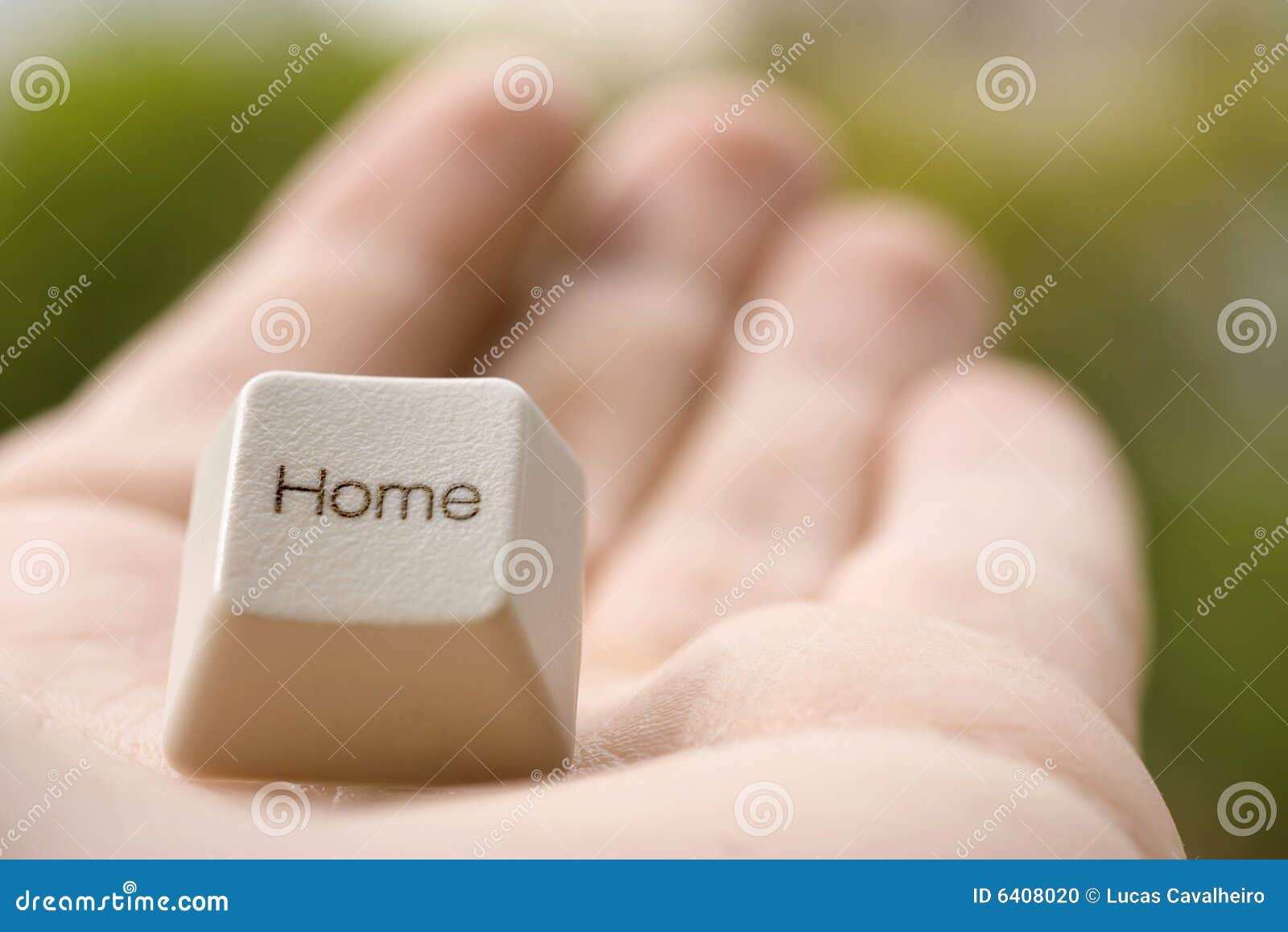 Home key stock photo. Image of customer, palm, information - 6408020