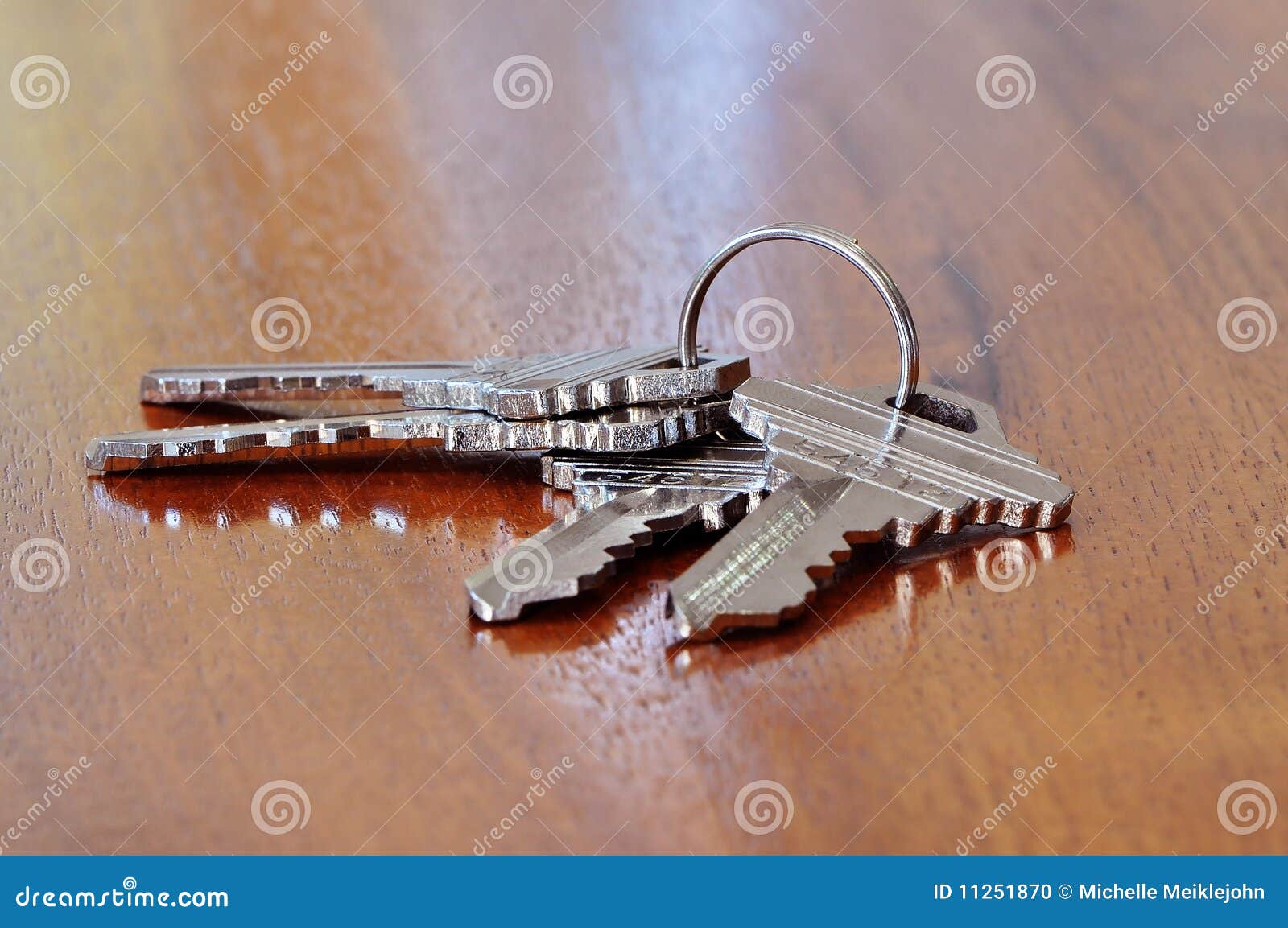 Home keys stock photo. Image of sell, home, real, rent - 11251870