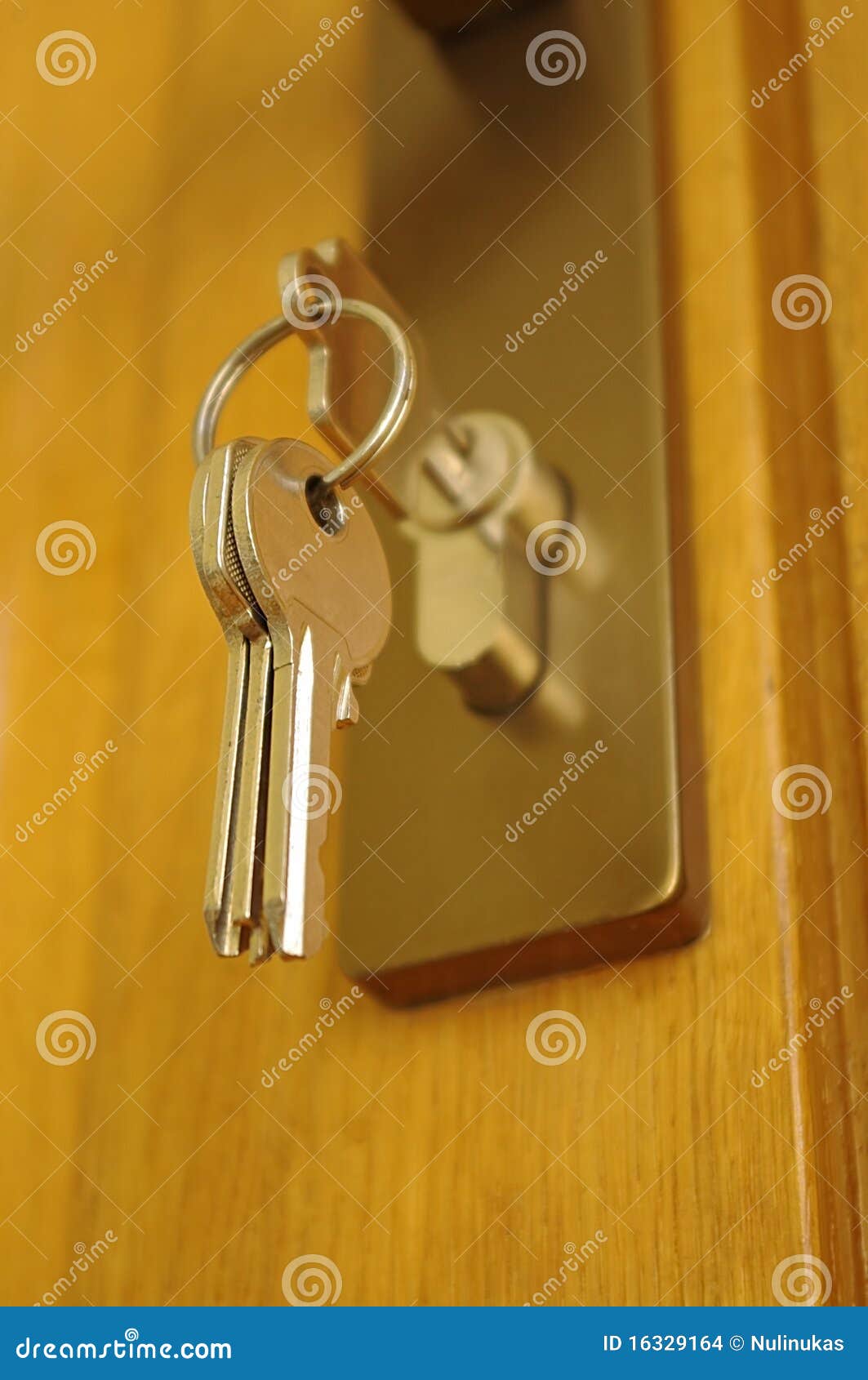 Home lock and key stock photo. Image of doorway, mansion - 16329164