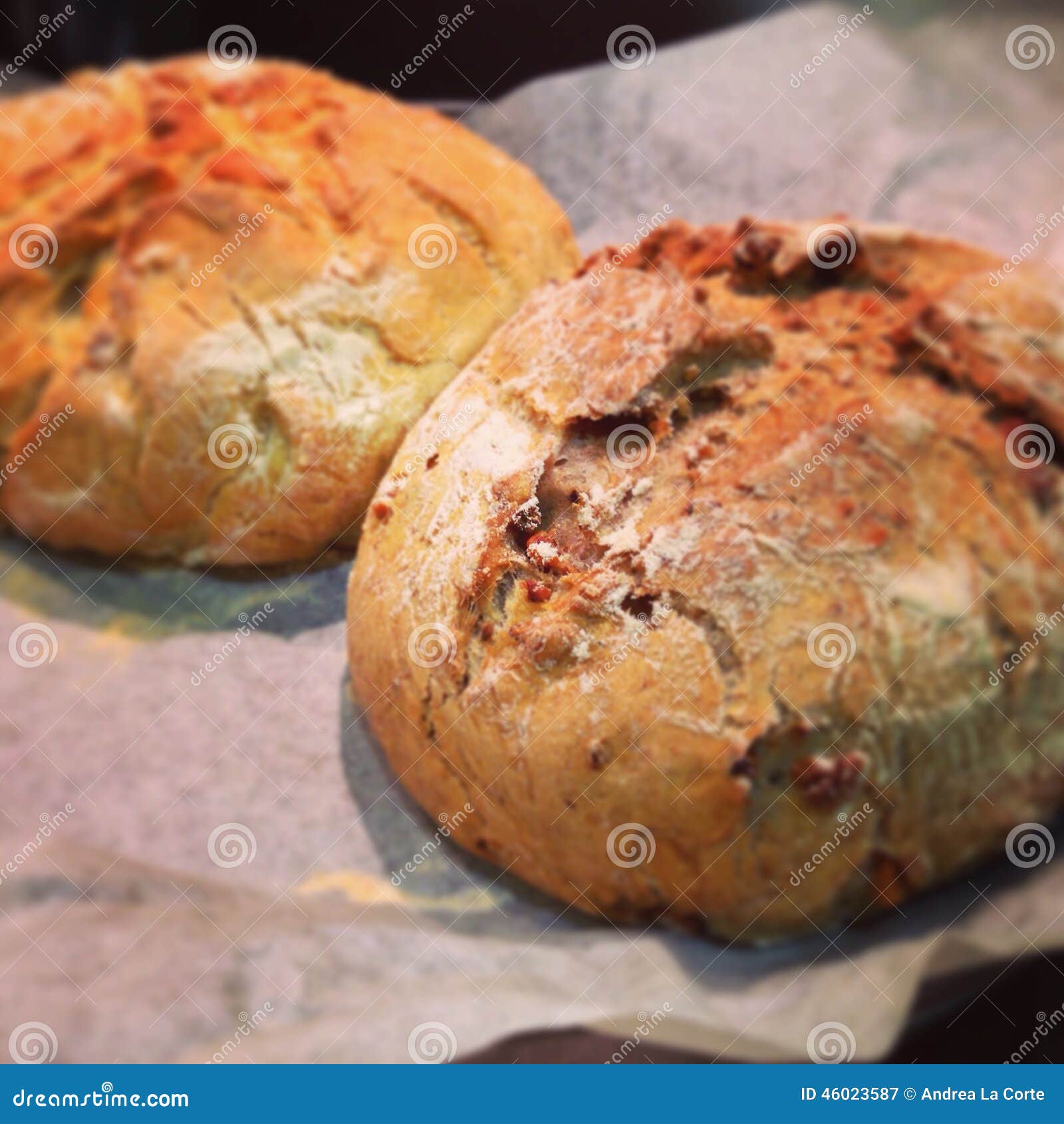 Home made bread stock image. Image of fresh, home, bread - 46023587