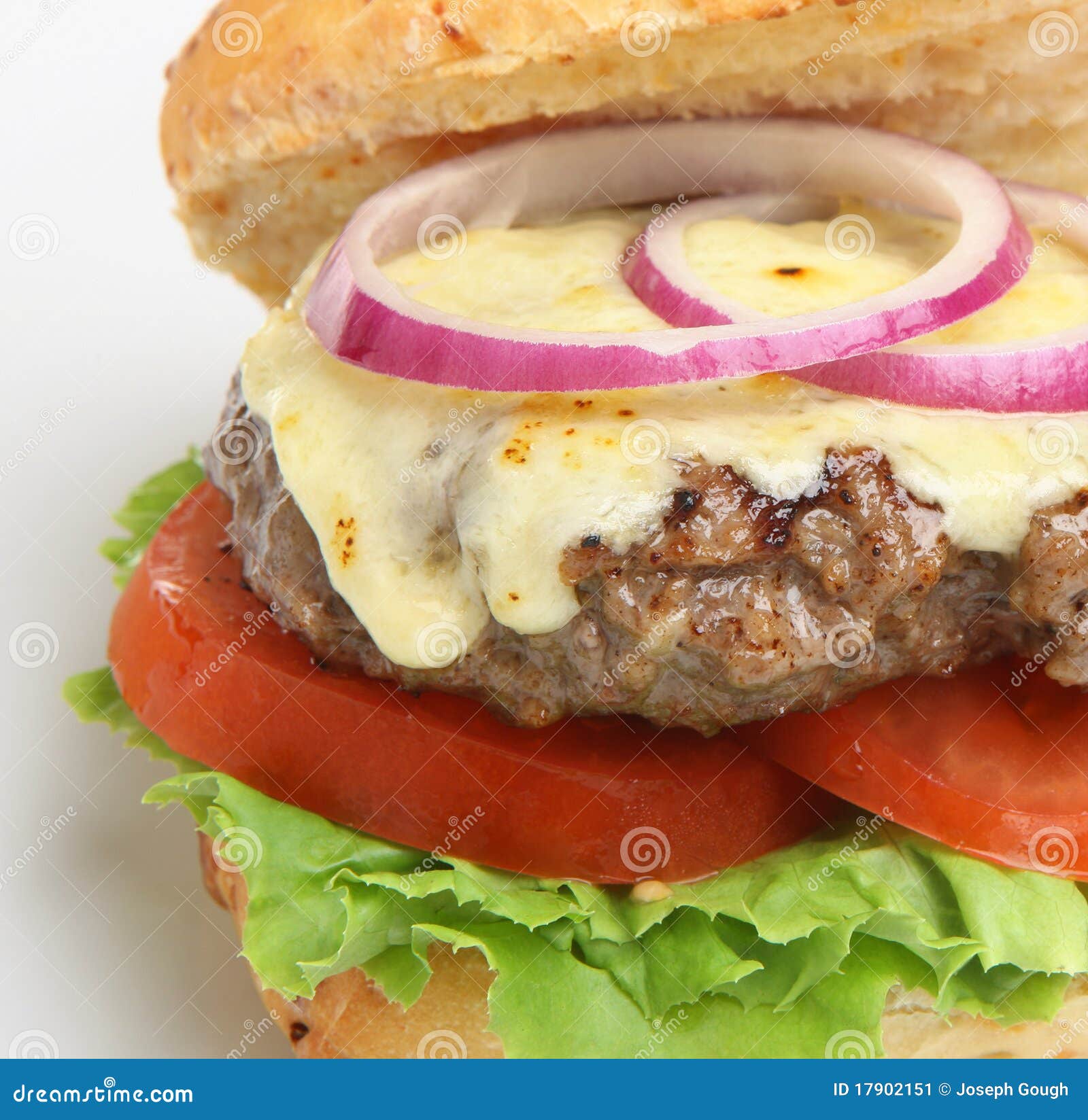Home-made Cheeseburger stock image. Image of cheddar - 17902151