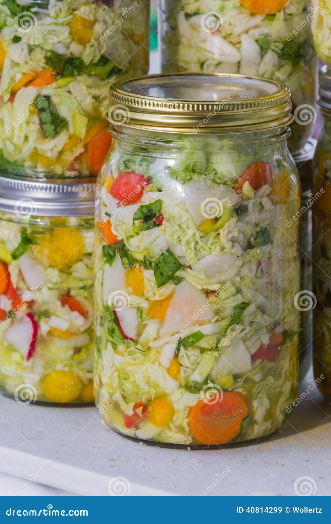Home Made Cultured or Fermented Vegetables Stock Image - Image of ...