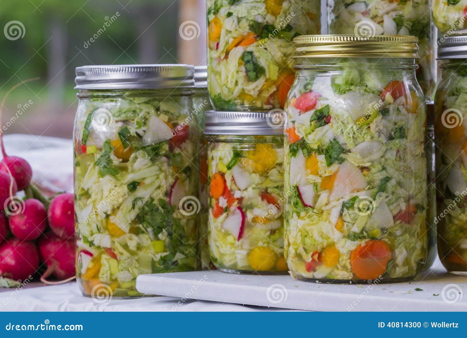 Home Made Cultured or Fermented Vegetables Stock Photo - Image of ...