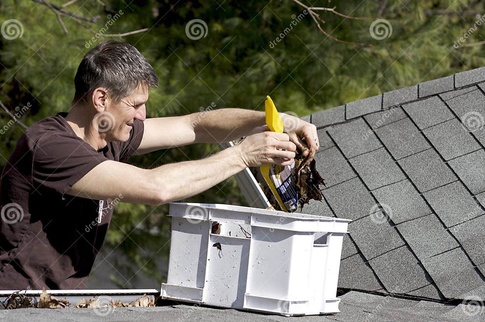 Home Maintenance - Outside stock image. Image of housework - 19269221