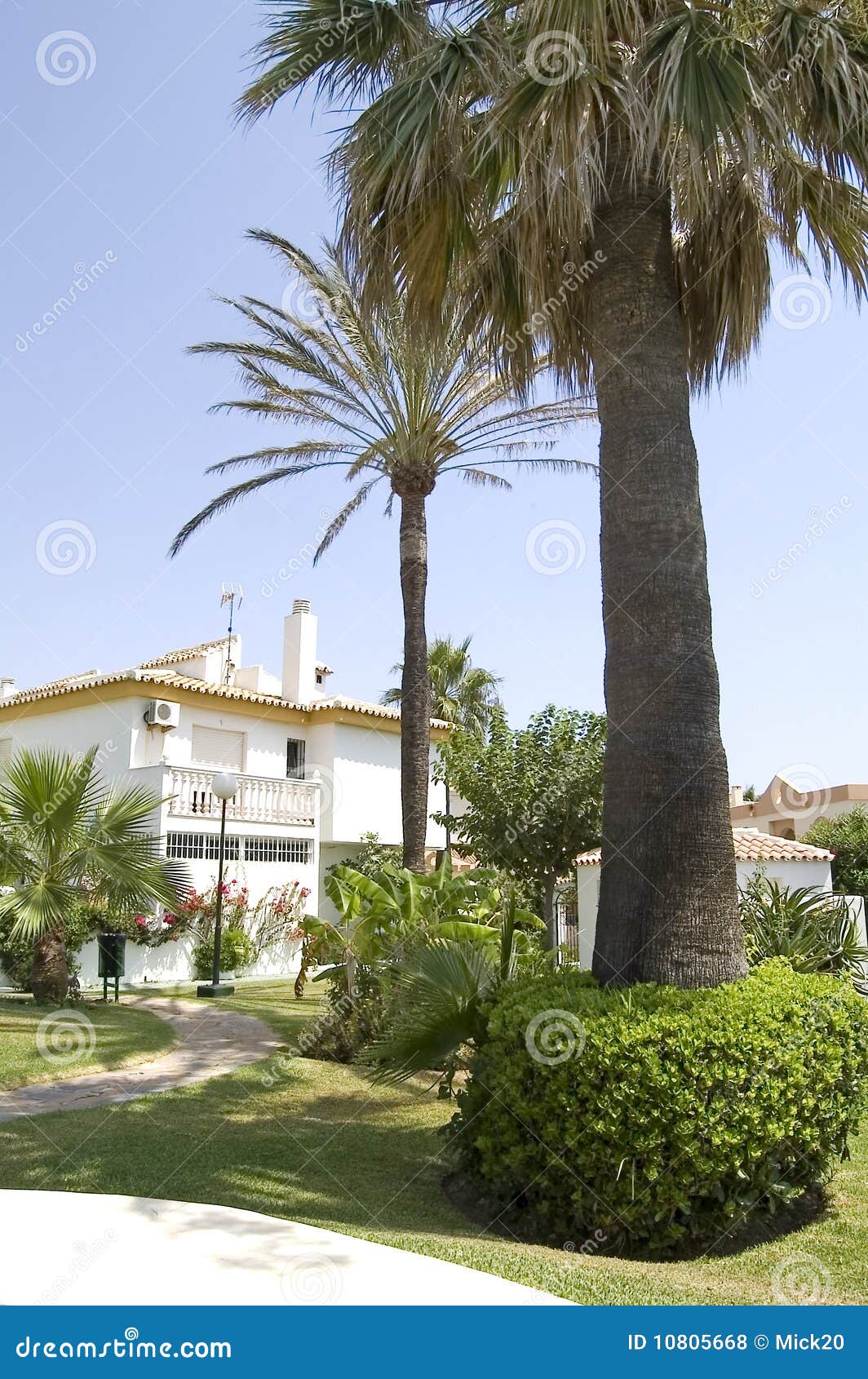 Home with palm trees stock photo. Image of construction - 10805668