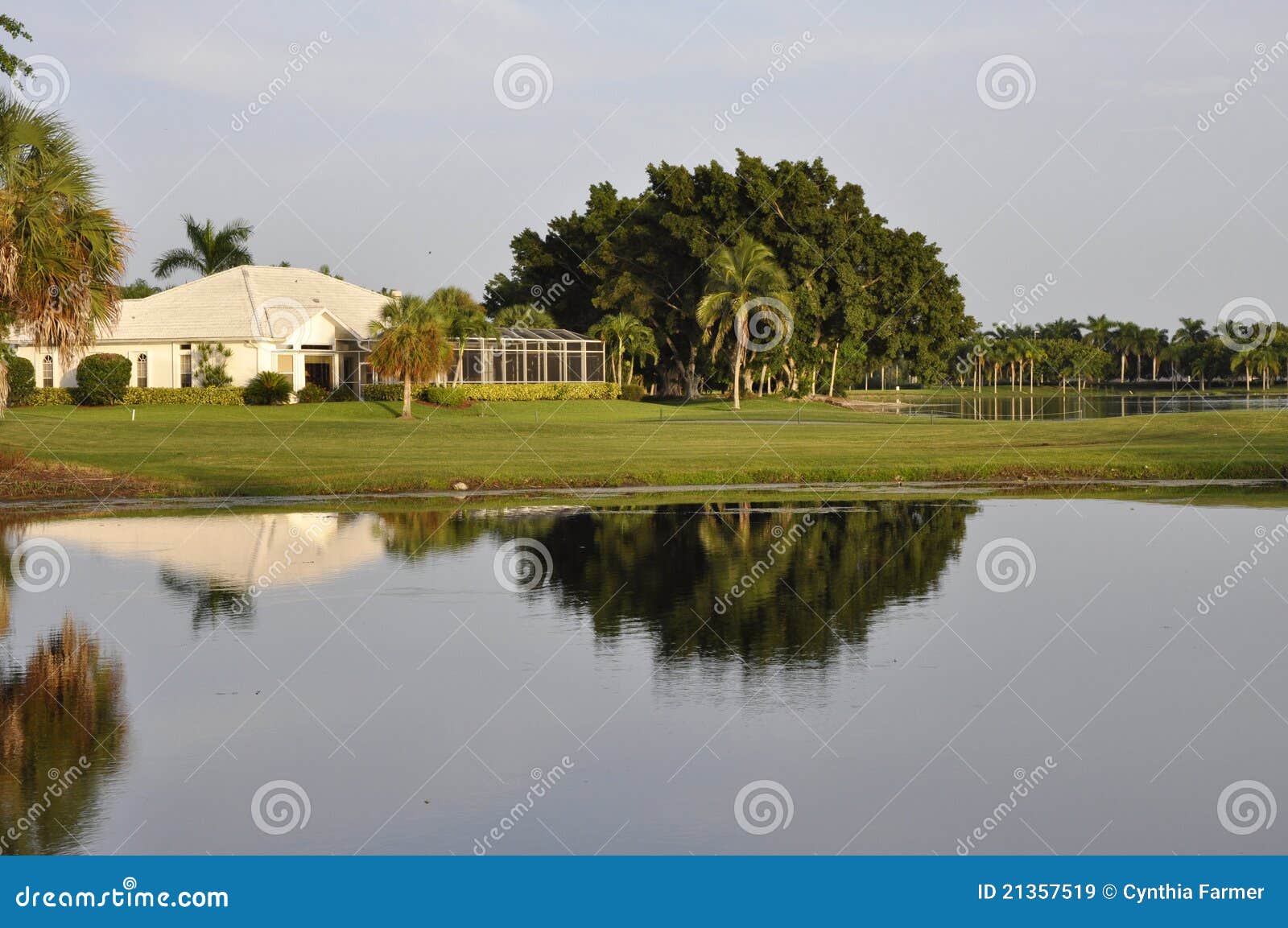 Home reflection in pond stock image. Image of pond, sunny - 21357519