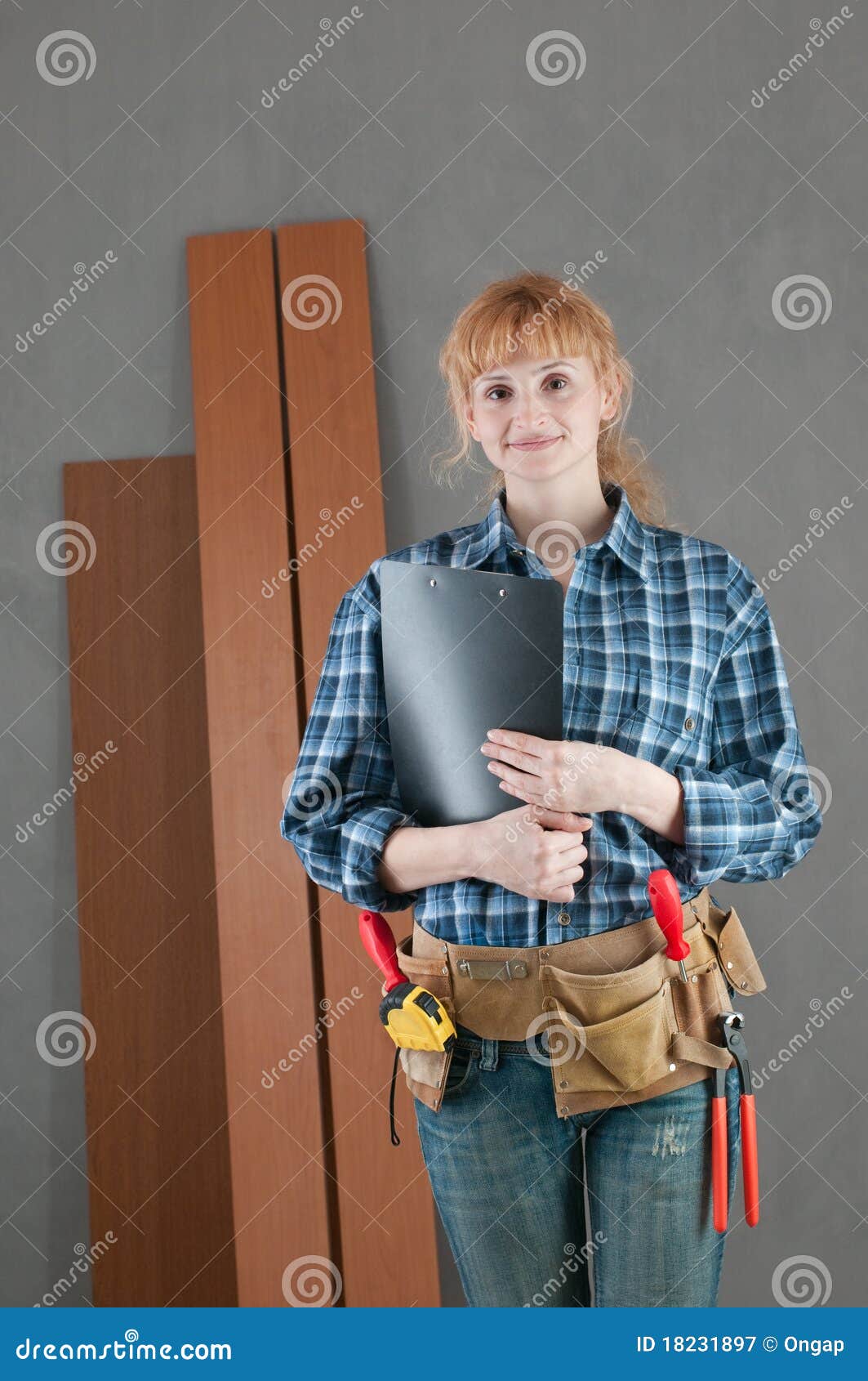 Home repair woman stock image. Image of industry, staff - 18231897