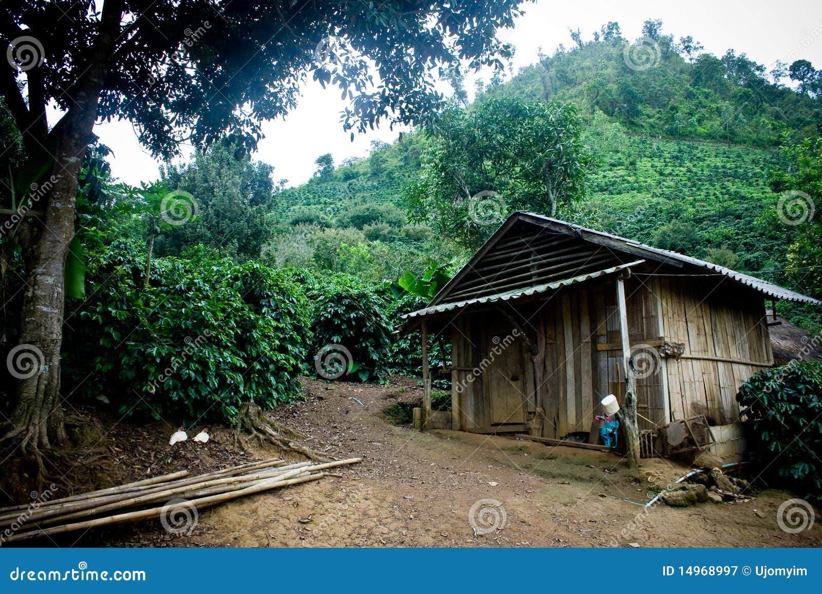 Home of rural. stock image. Image of thailand, rural - 14968997