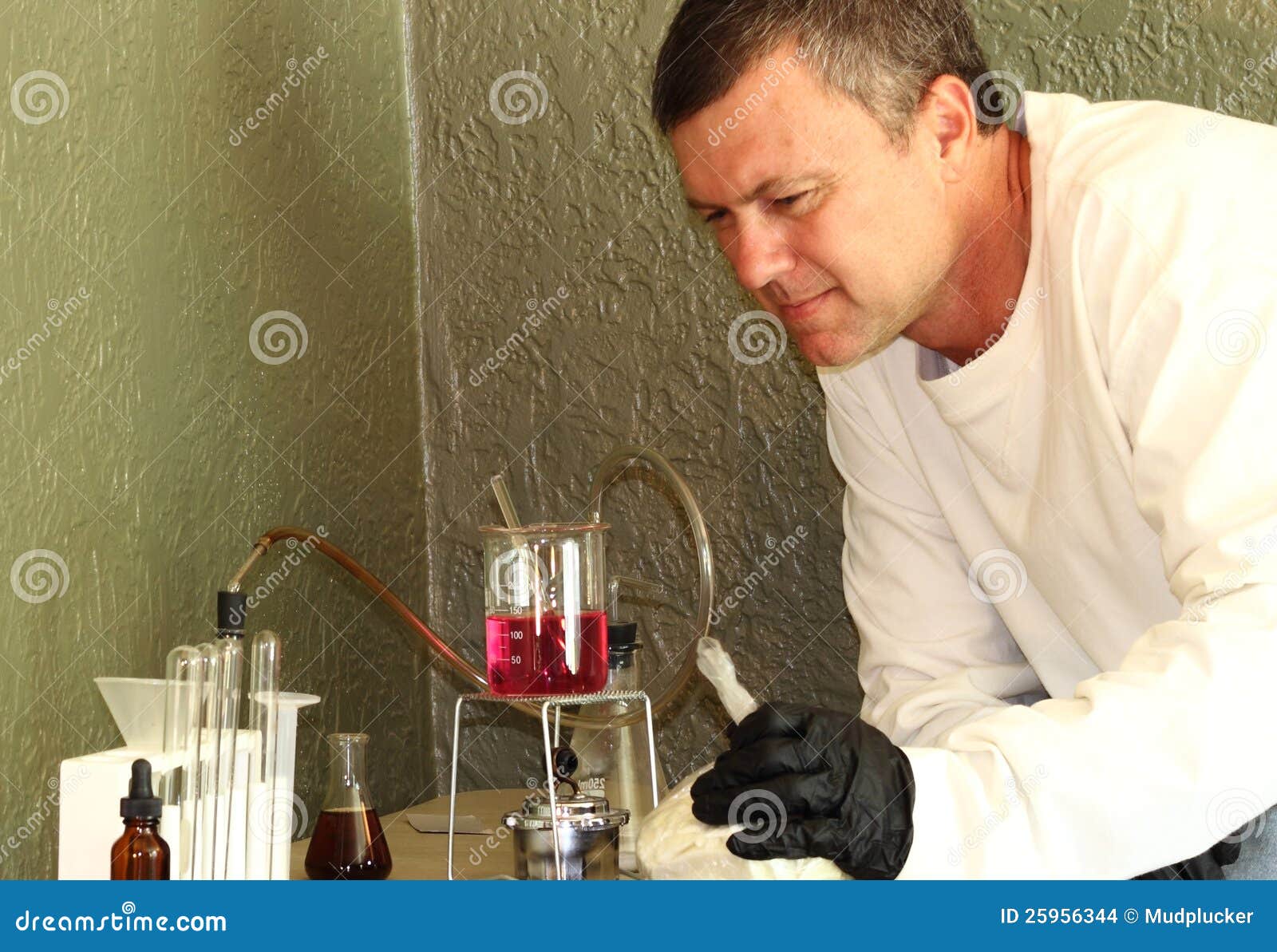 Home Scientist stock photo. Image of reactivity, testing - 25956344