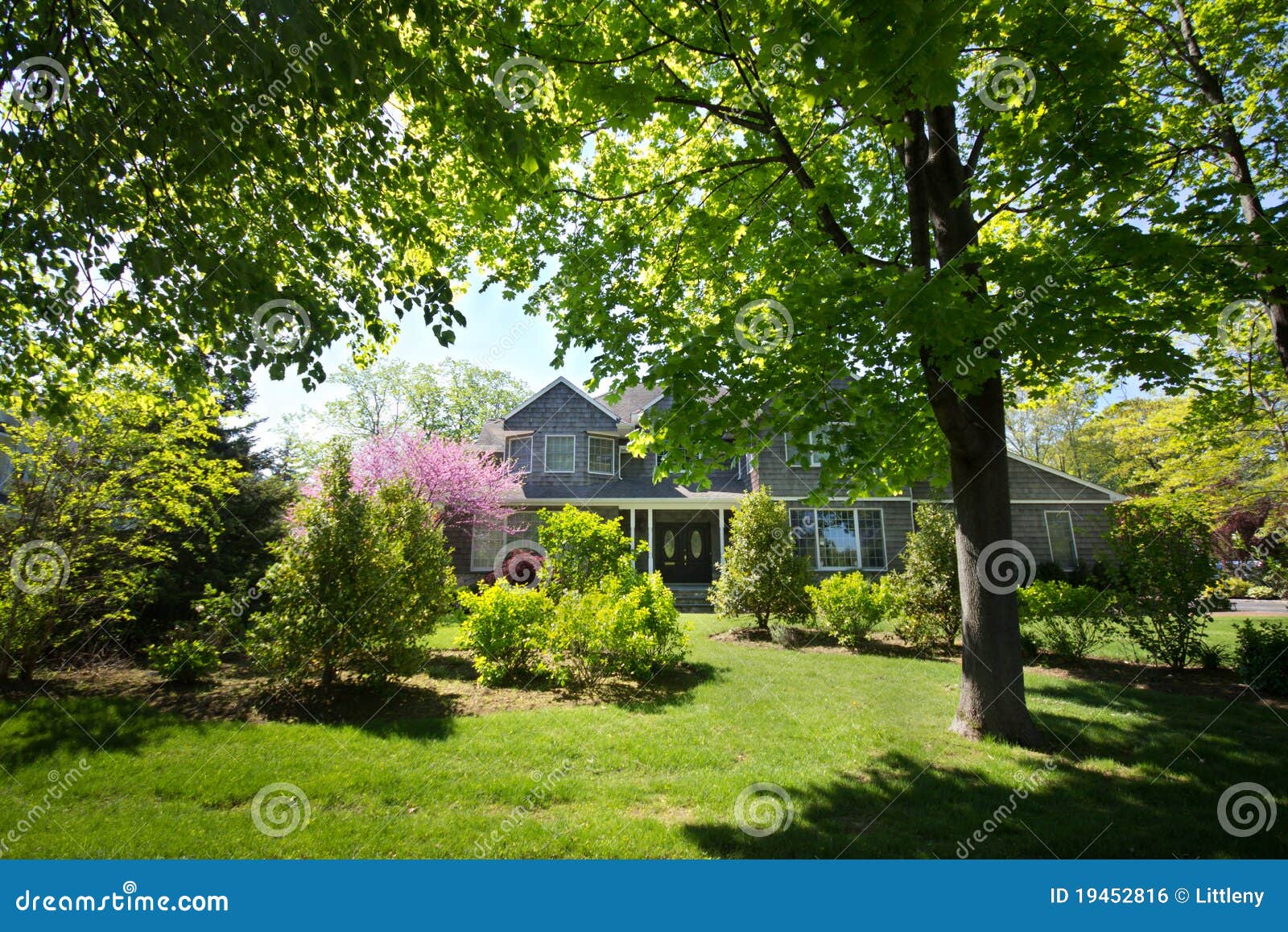 Home Surrounded by Trees stock photo. Image of morning - 19452816
