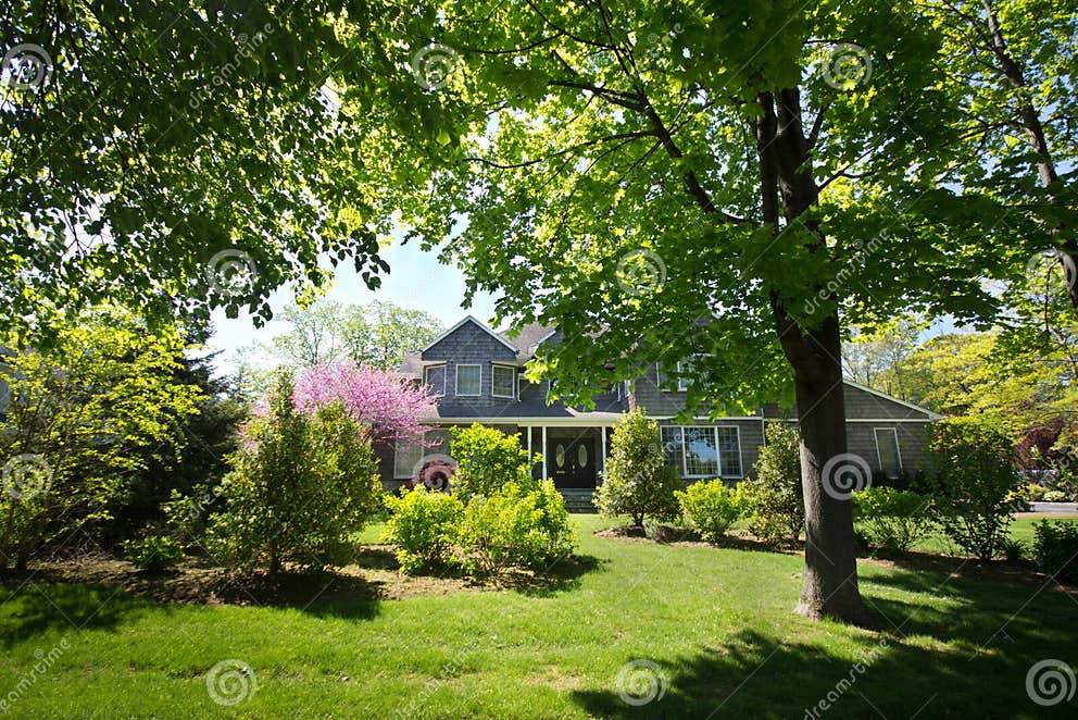 Home Surrounded by Trees stock photo. Image of morning - 19452816