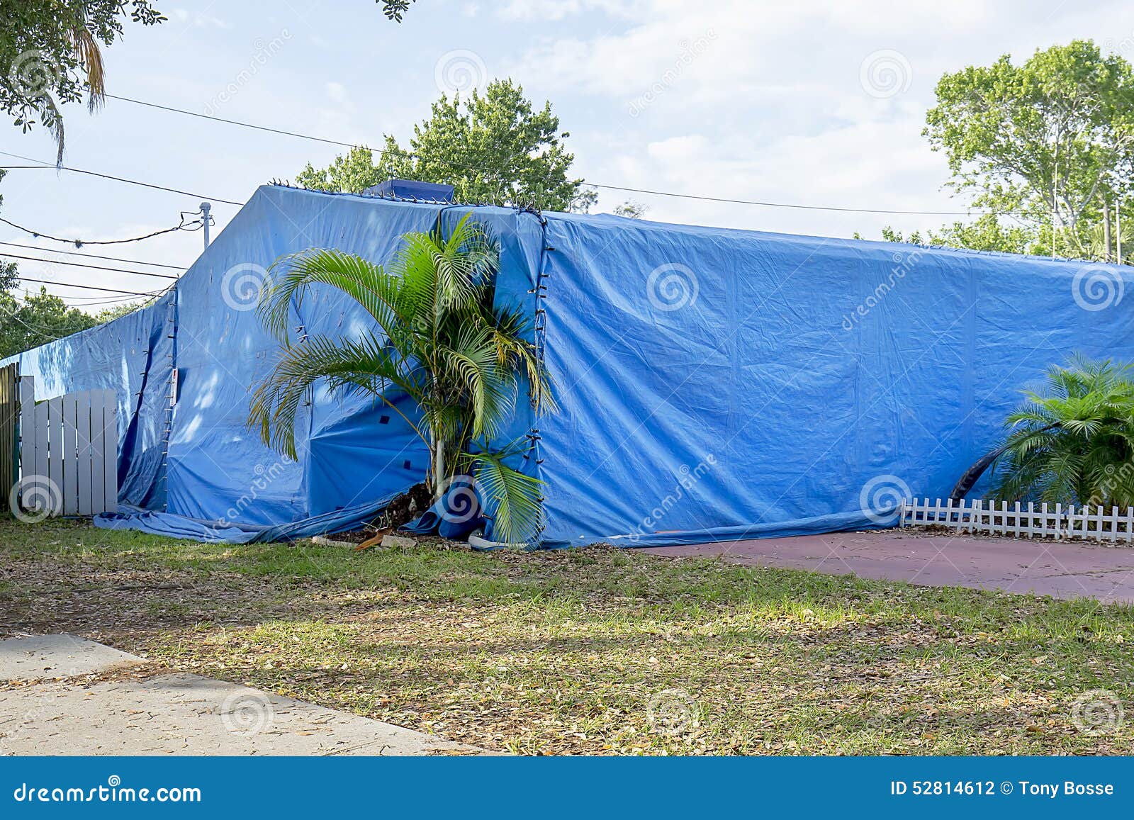 Home Tenting / Structural Fumigation Stock Photo - Image of damage ...
