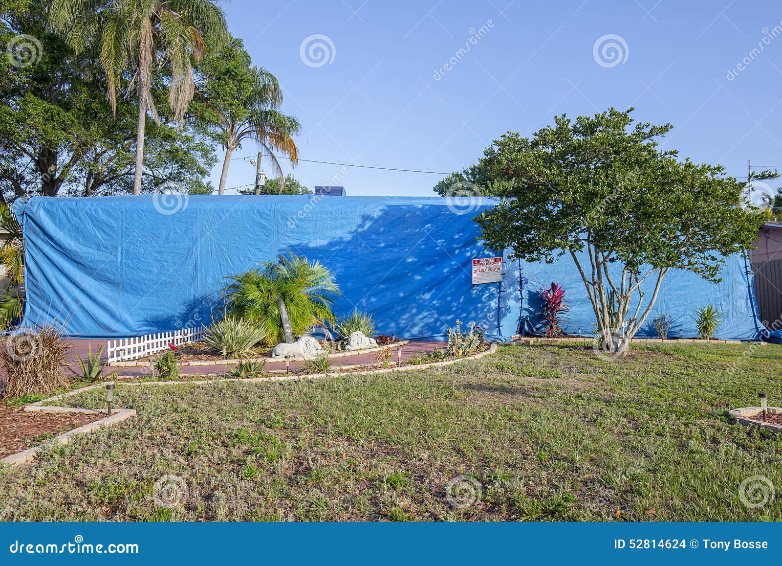 Home Tenting / Structural Fumigation Stock Photo - Image of infestation ...
