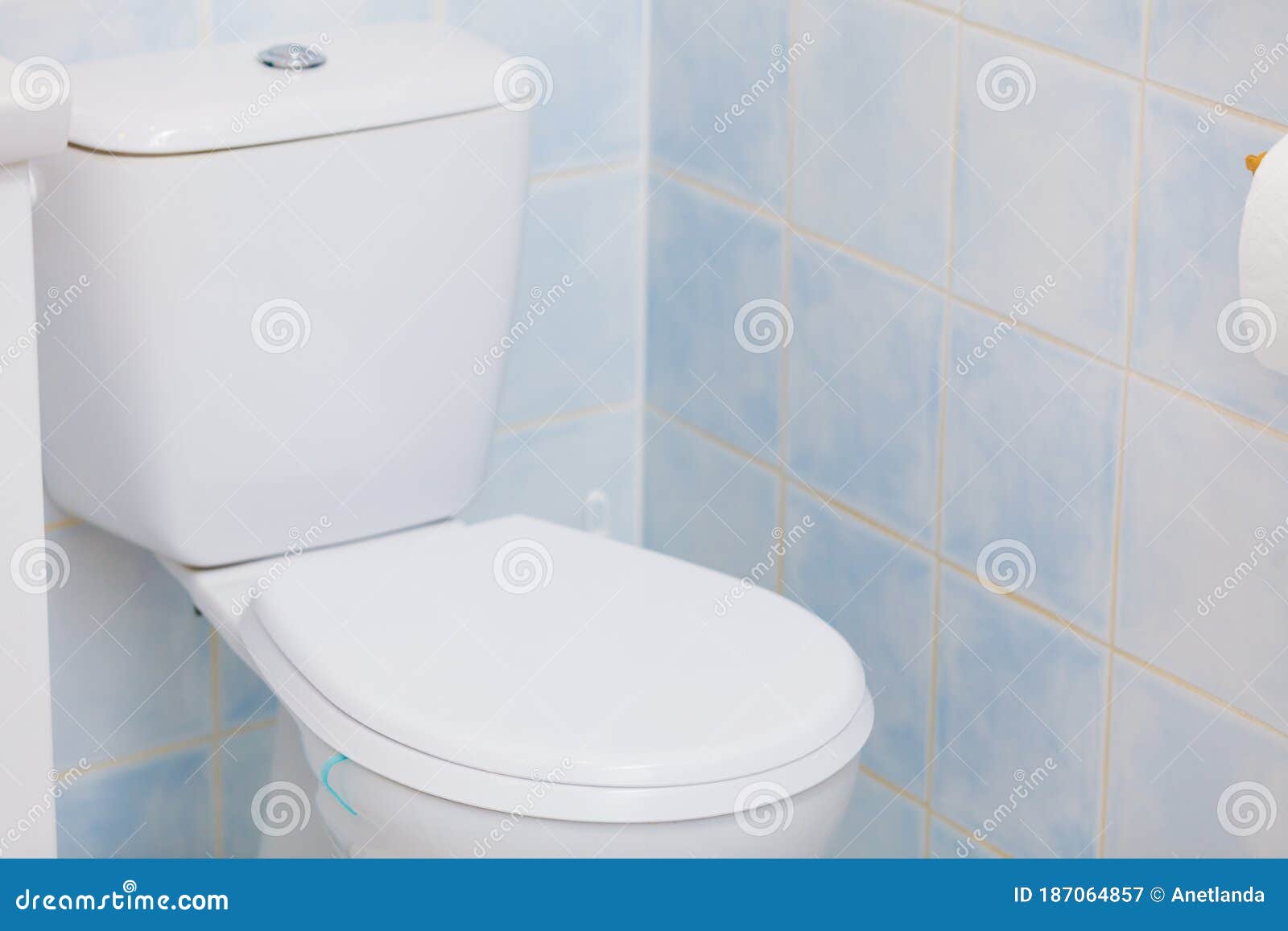 Home toilet bowl and flush stock image. Image of bathroom - 187064857