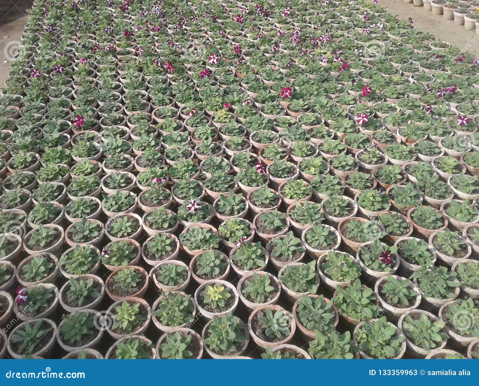 Verary Stock Photos - Free & Royalty-Free Stock Photos from Dreamstime