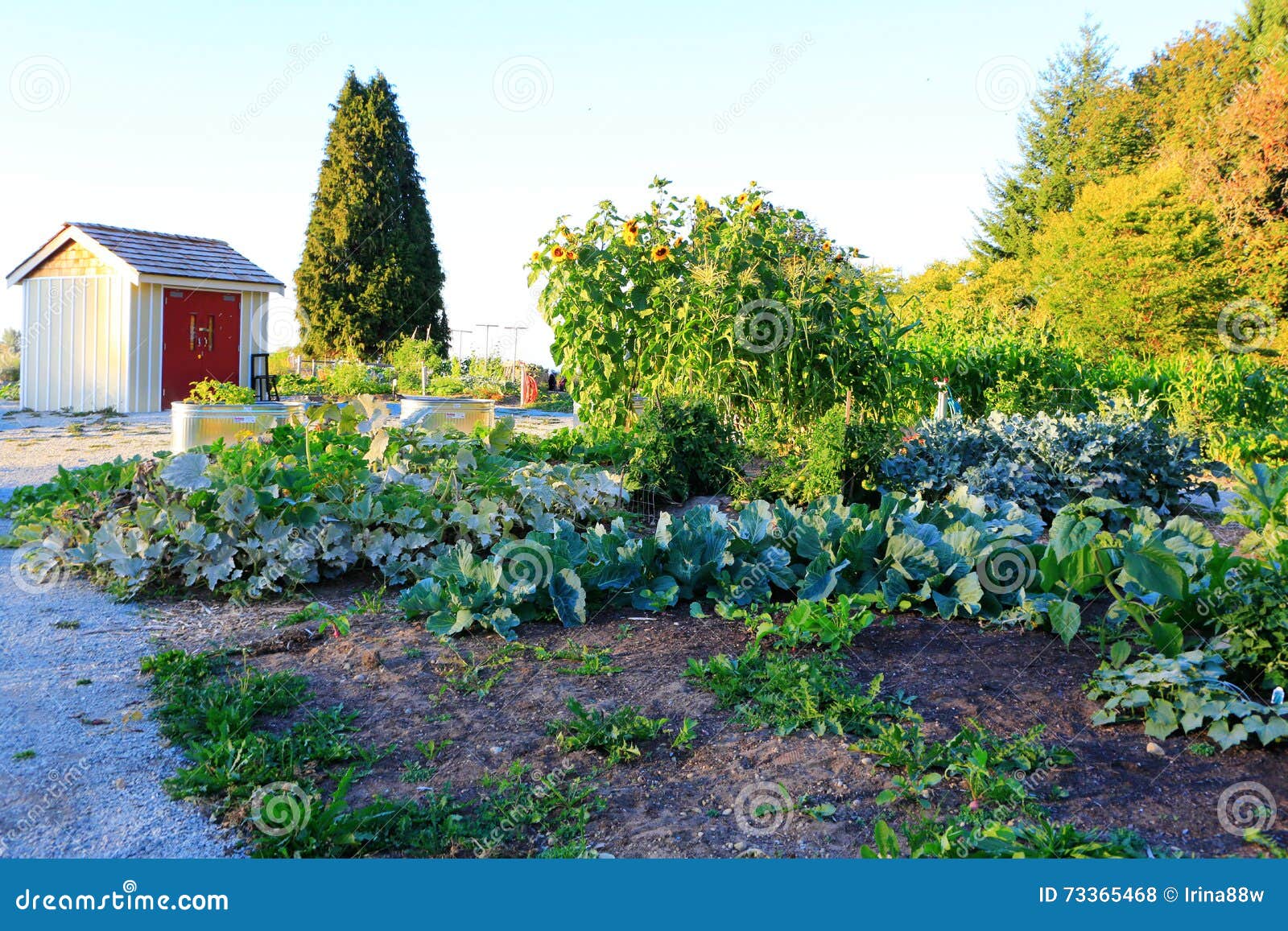 17,002 Yard Sunset Stock Photos - Free & Royalty-Free Stock Photos from ...