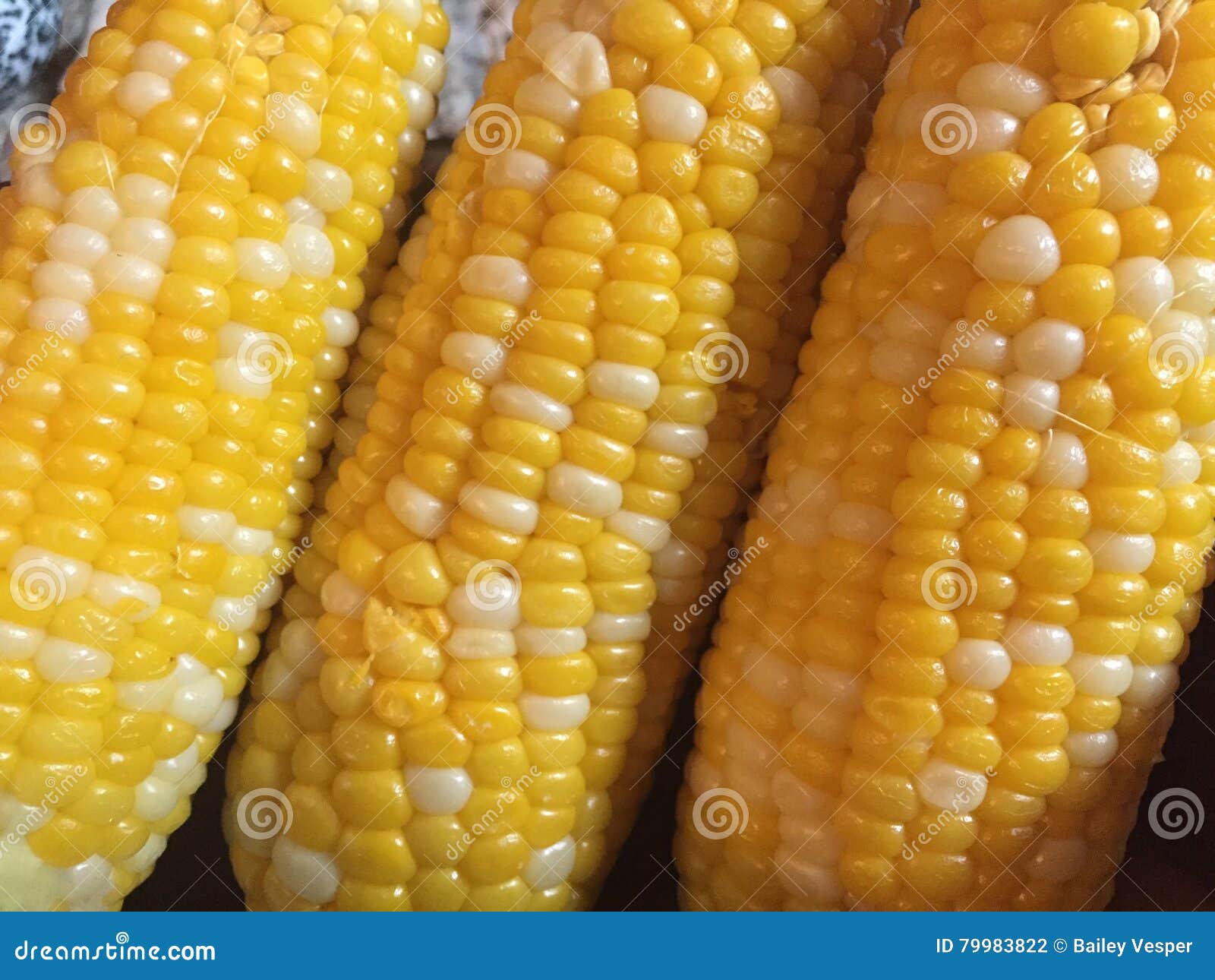 Homegrown Corn stock photo. Image of freshly, peeled - 79983822