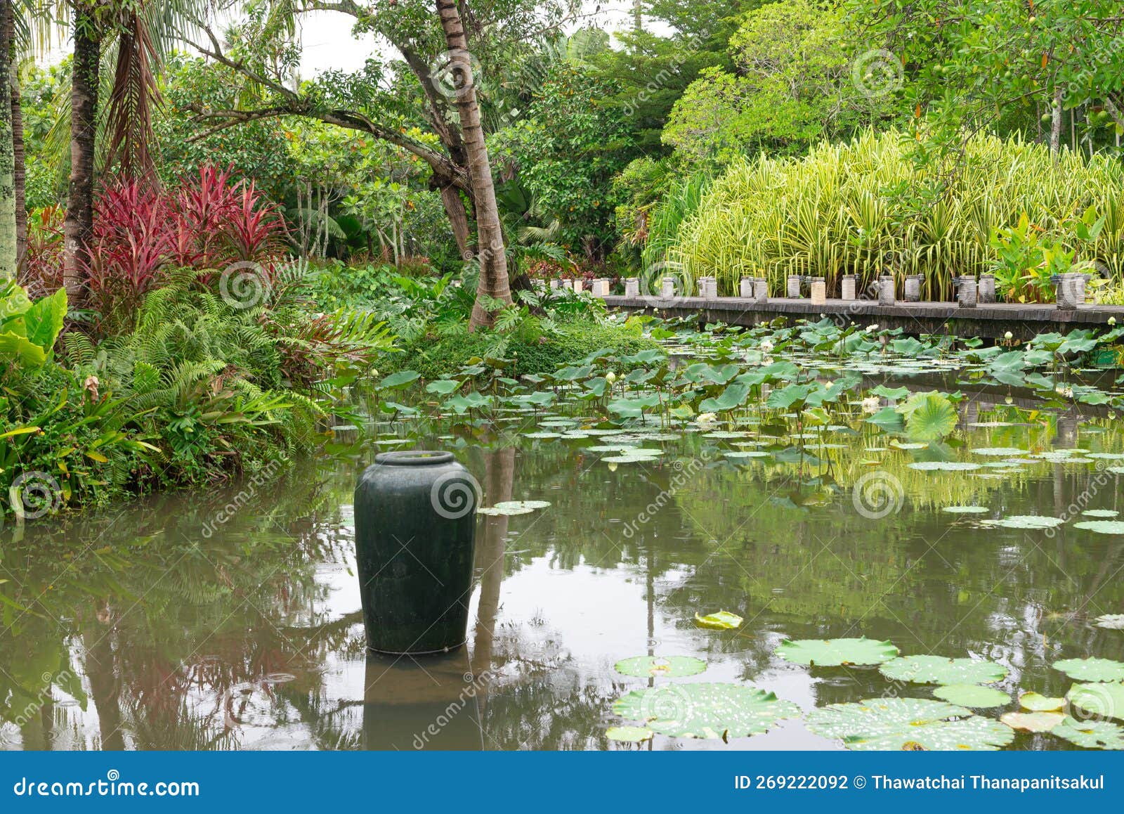 Homegrown Vegetable Garden with Swamp in the Backyard. Stock Photo ...