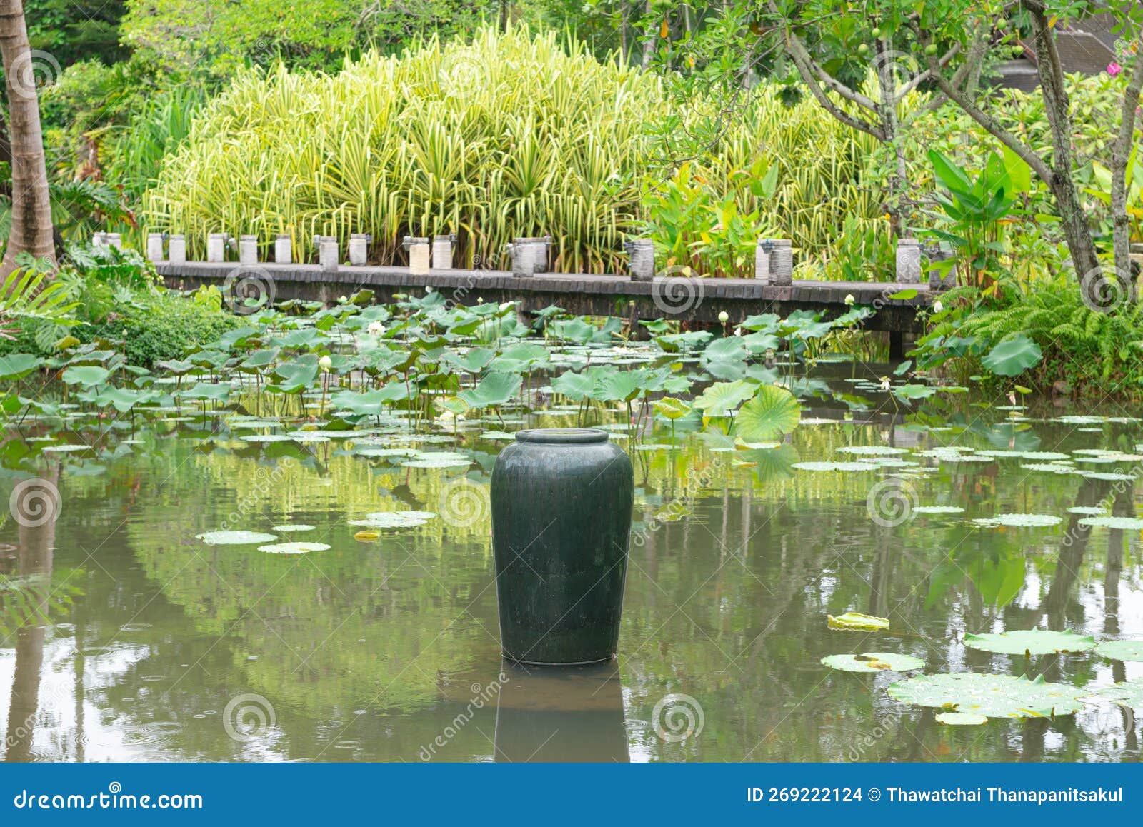Homegrown Vegetable Garden with Swamp in the Backyard. Stock Photo ...