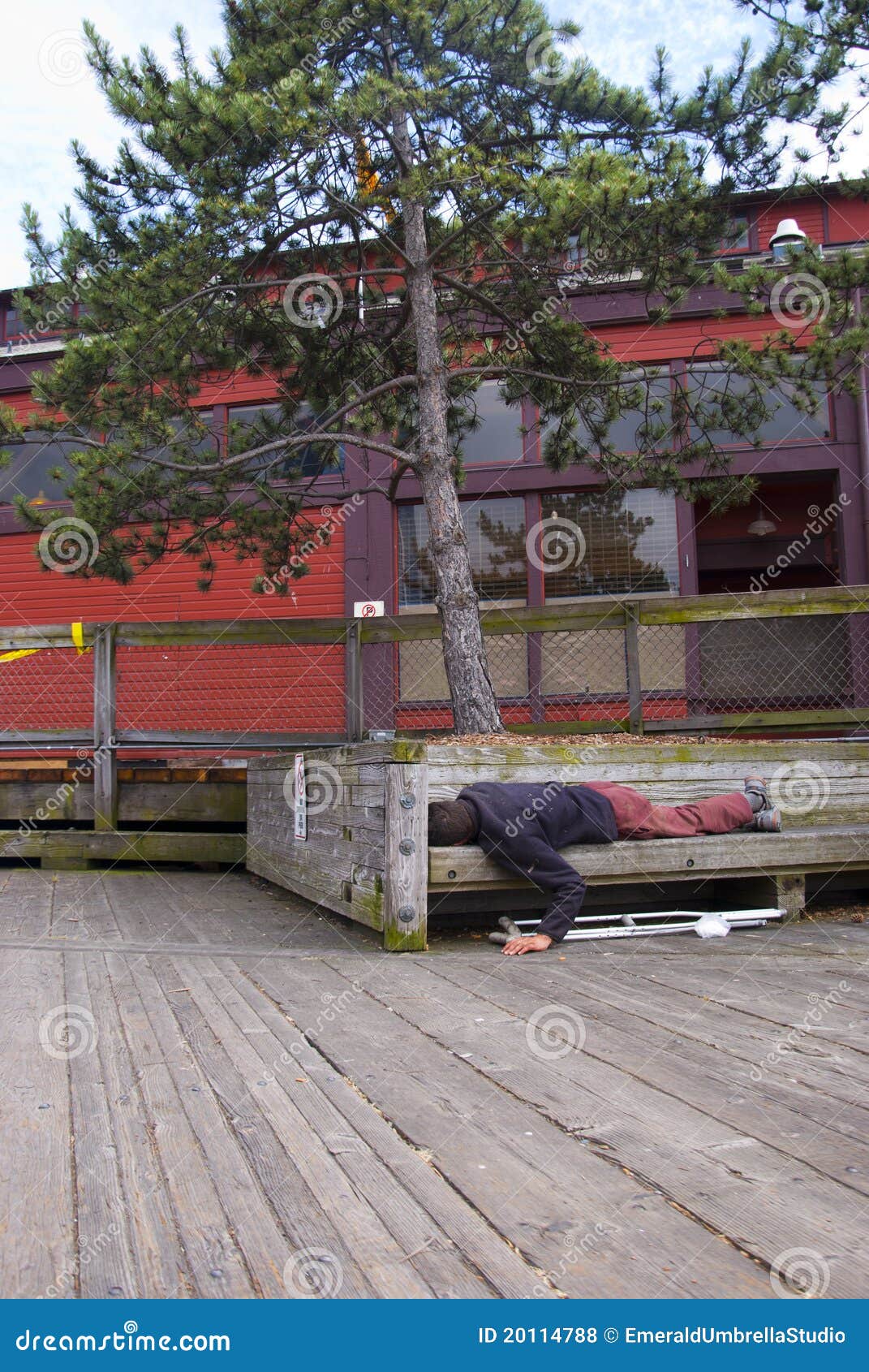 Homeless on a Bench Seattle Editorial Stock Photo - Image of issue ...