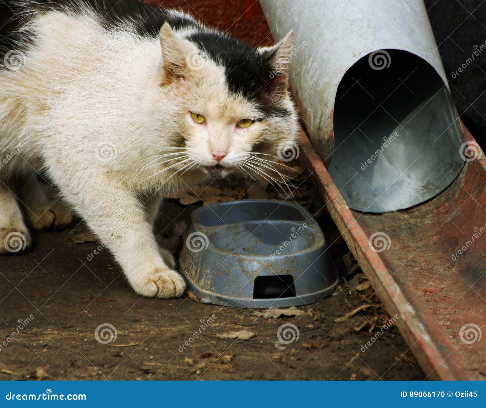 Close-up On Downpipes, Waste Water Pipes. Overflow Pipes Of Flood ... Close-up On Downpipes, Waste Water Pipes. Overflow Pipes Of Flood ...