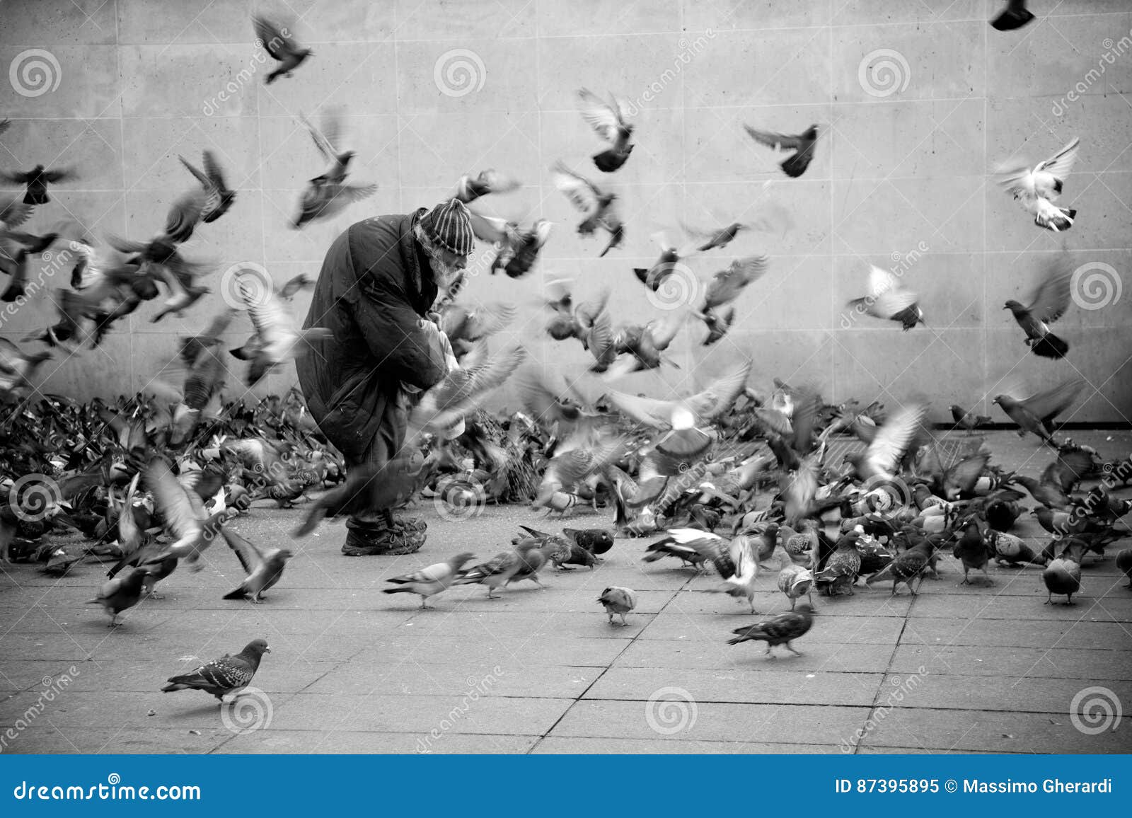 Homeless Bird Man editorial image. Image of black, crowd - 87395895