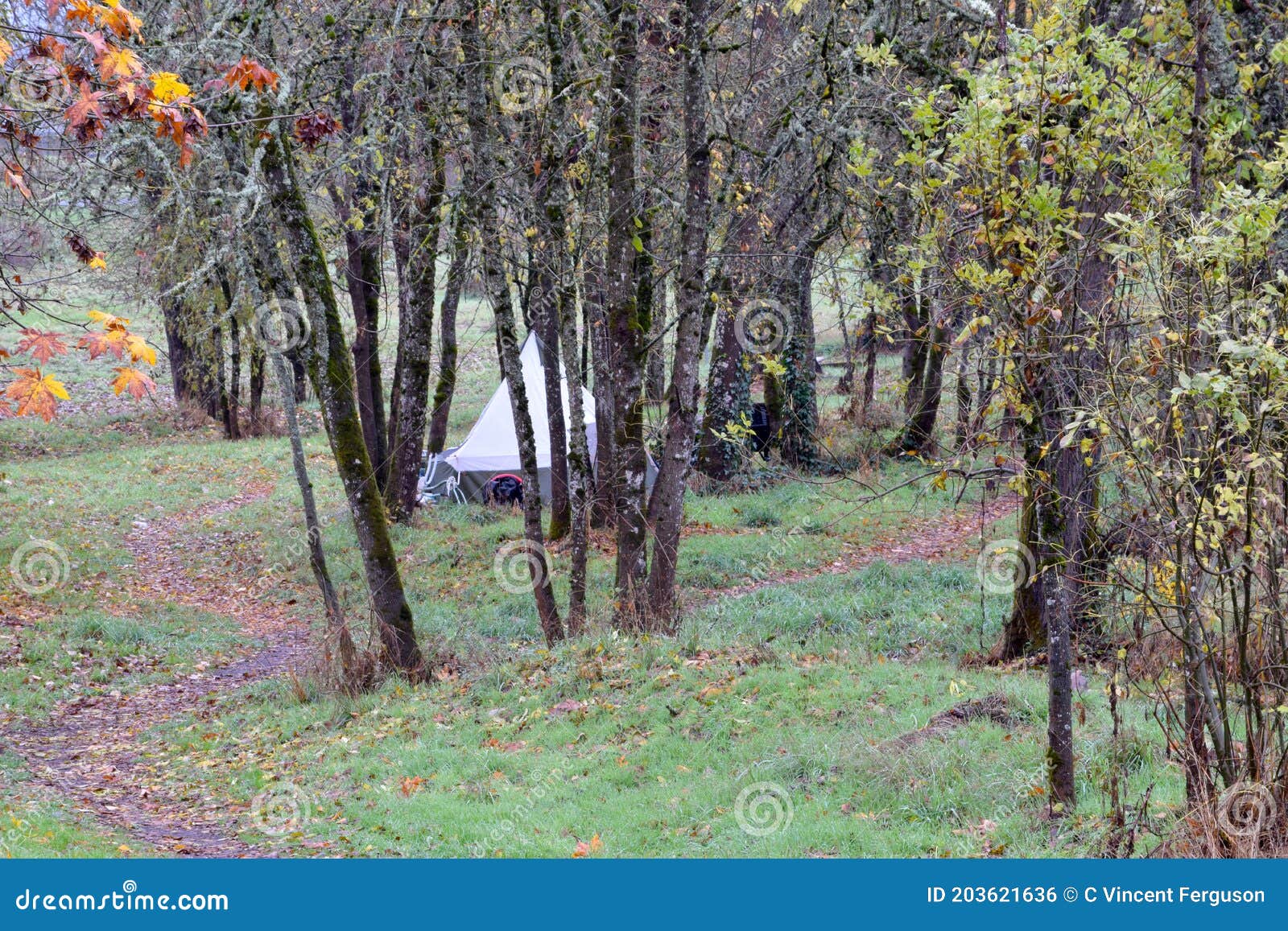 Homeless Camp 05 stock photo. Image of camping, yurt - 203621636