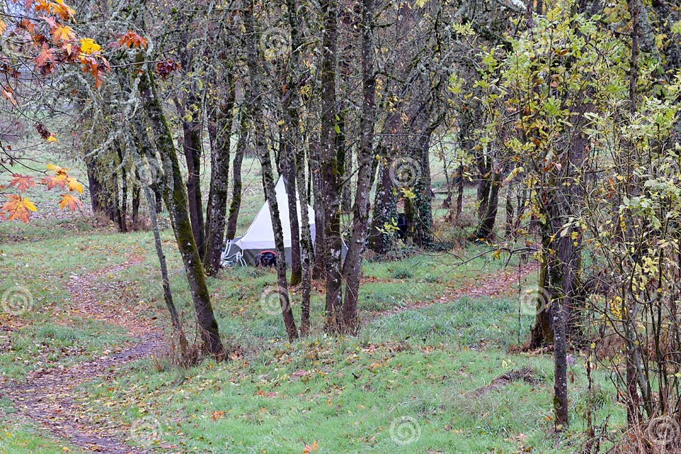 Homeless Camp 05 stock photo. Image of camping, yurt - 203621636