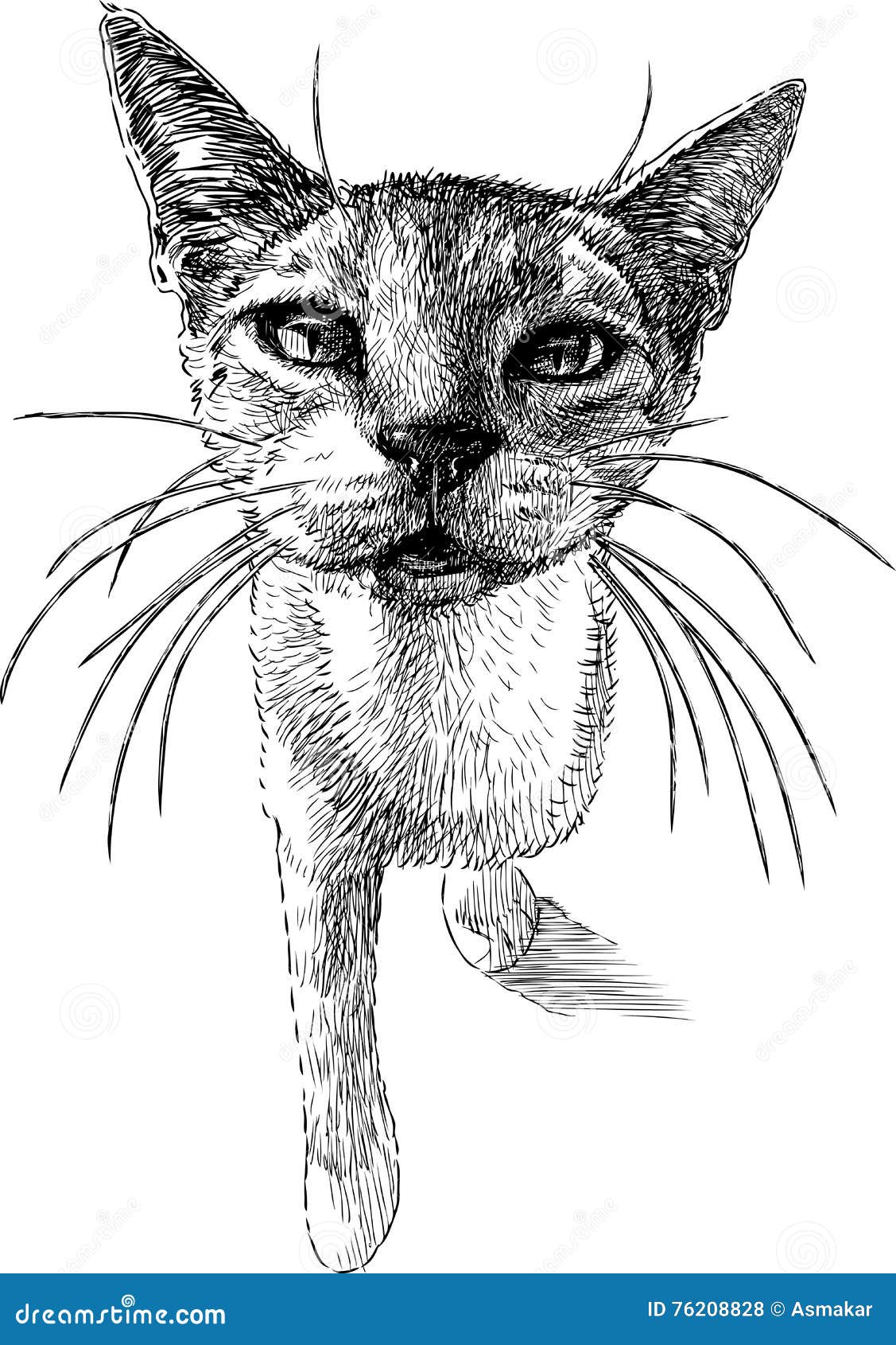 Homeless cat stock vector. Illustration of domestic, nature - 76208828