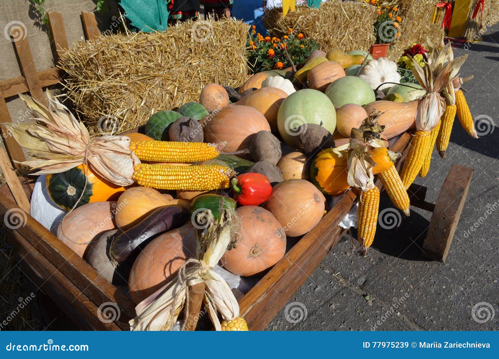 Homeless Ginger Cat at the Kiosk Stock Image - Image of grapnel ...