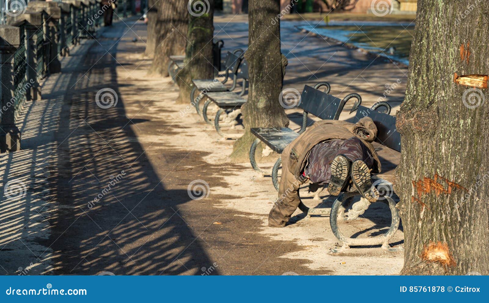 Homeless Man on a Bench stock photo. Image of alone, cold - 85761878