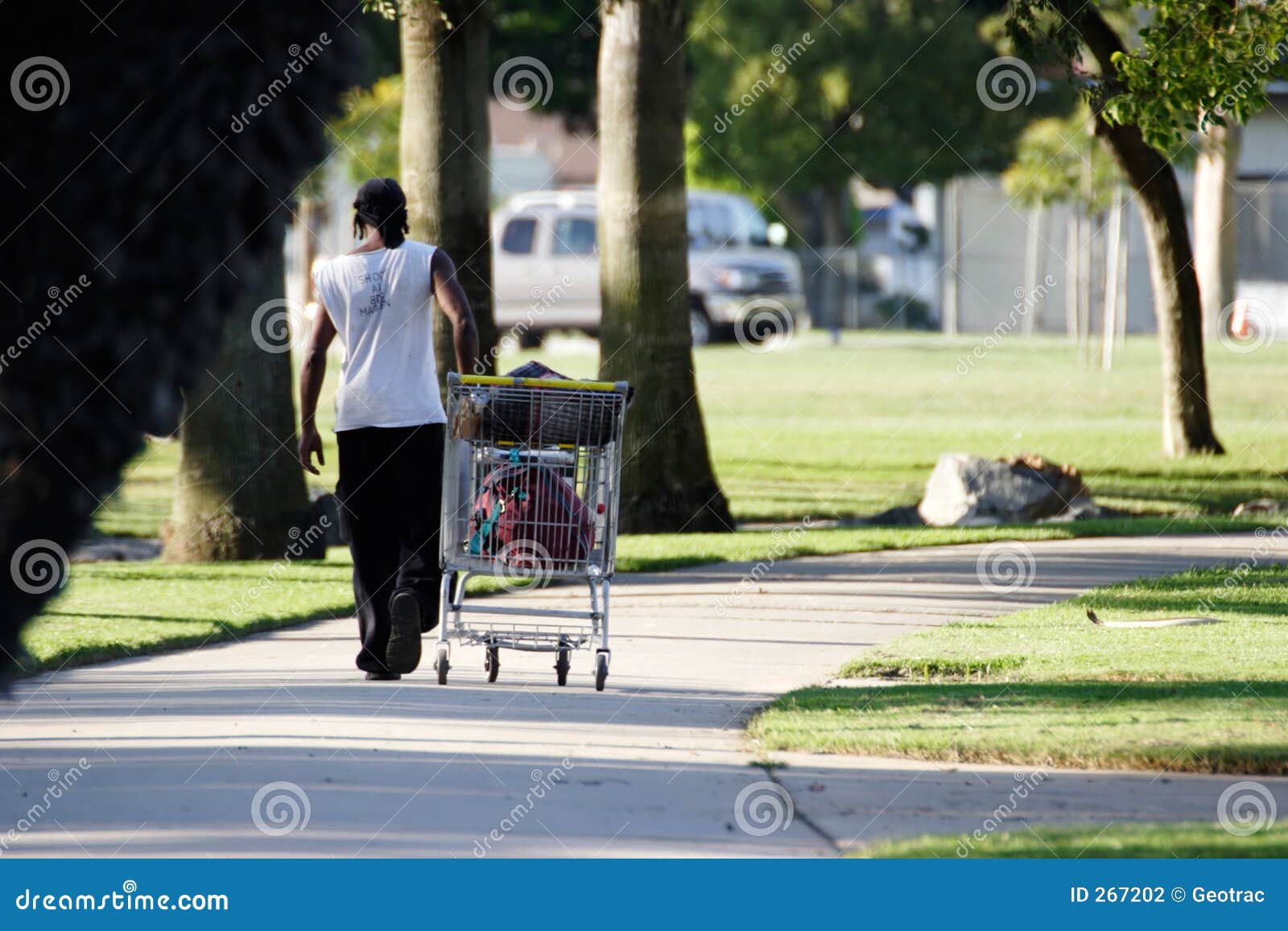 Homeless Man with Shopping Cart Stock Photo - Image of isolated ...