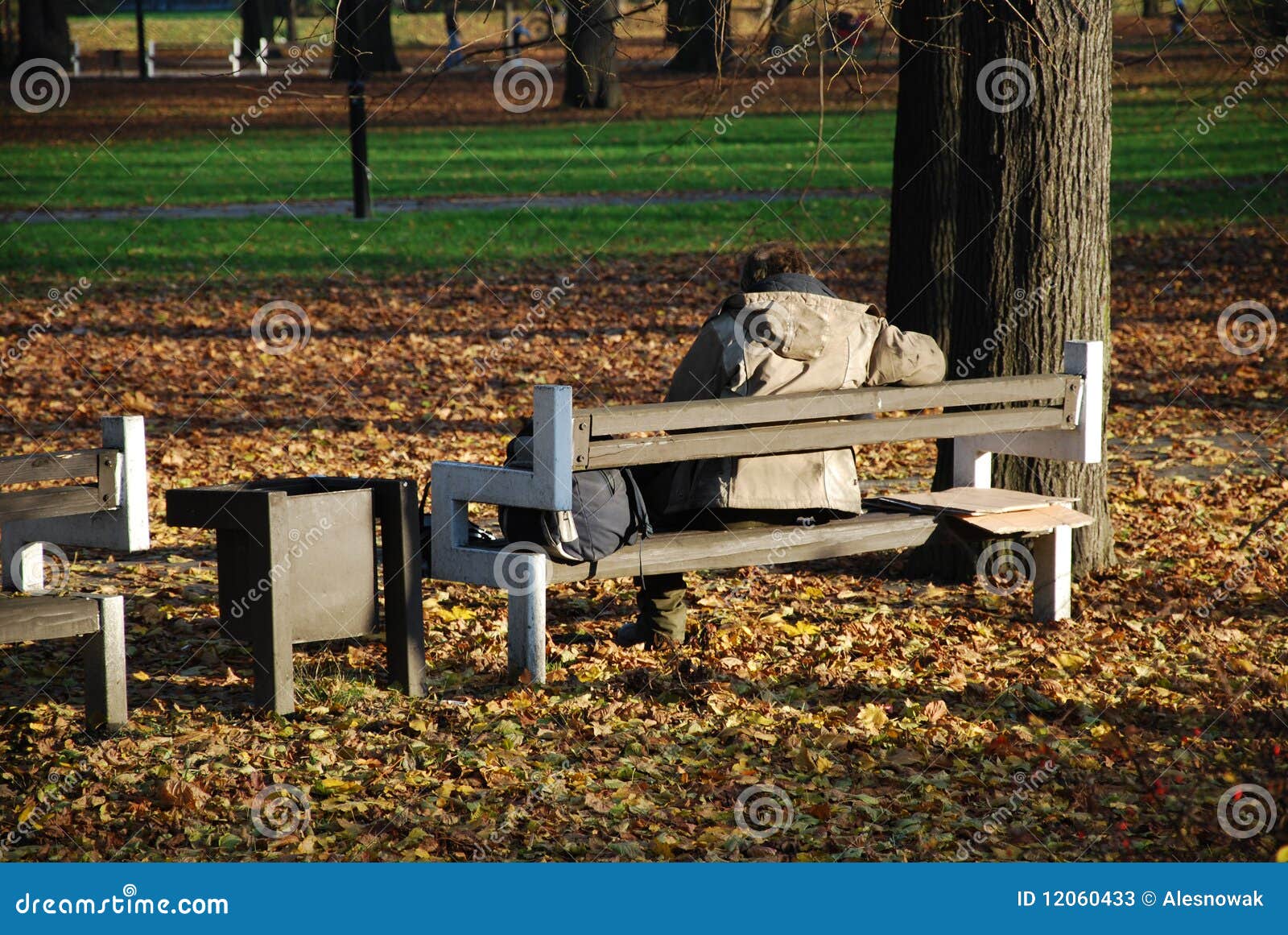 Homeless in the park stock image. Image of autumn, difficulties - 12060433
