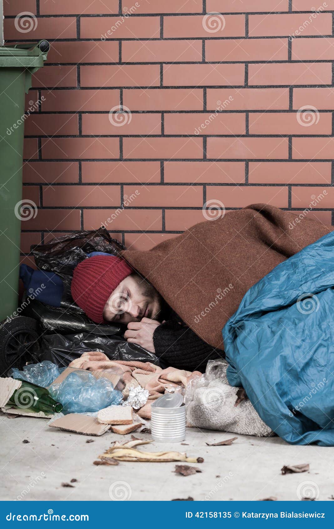 Homeless Dog Is Resting And Watching To The Scenic Landscape Of Typical ...