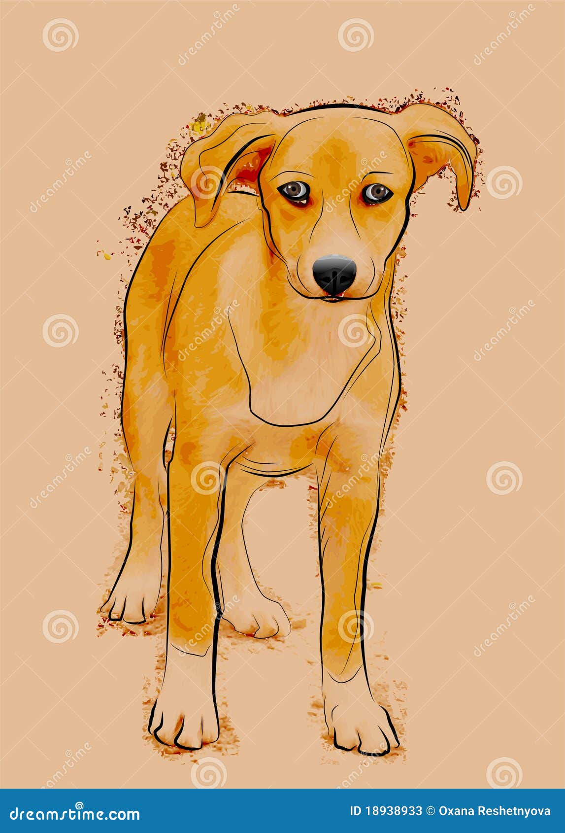 Homeless Stray Dog Cartoon Vector | CartoonDealer.com #18938933