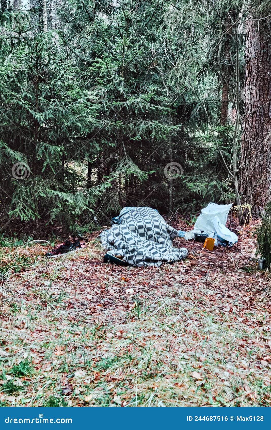 Homeless Under the Covers in Park in Winter Stock Photo - Image of ...