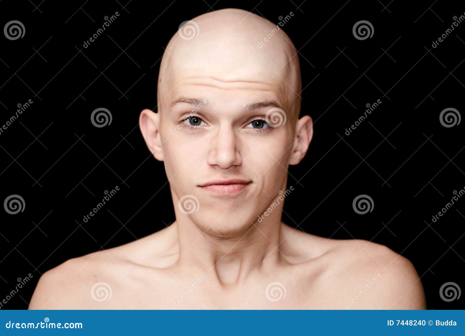 Homem calvo foto de stock. Imagem de cabelo, raspado, adulto - 7448240