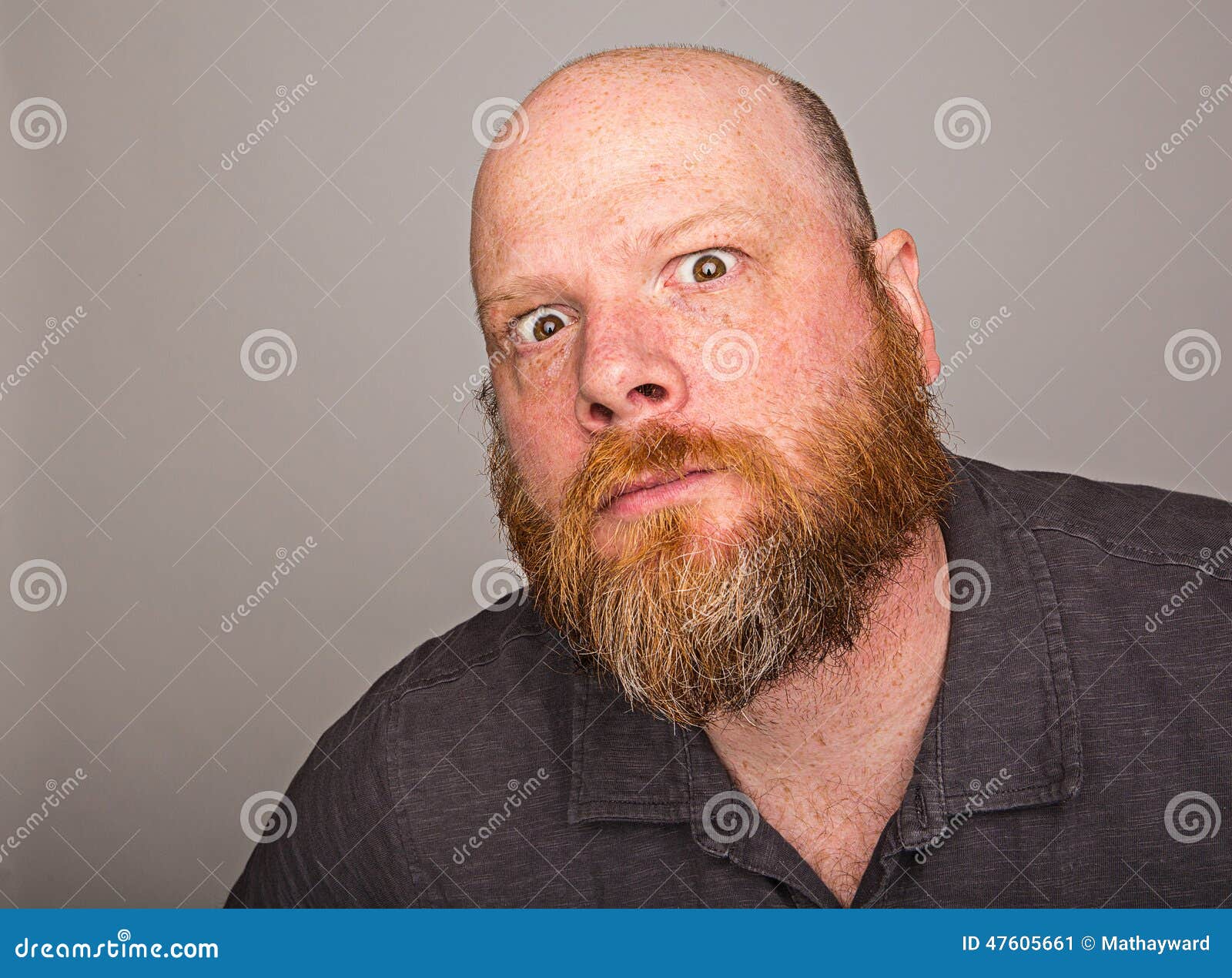 Homem Calvo Com a Barba Vermelha Completa Imagem de Stock - Imagem de ...