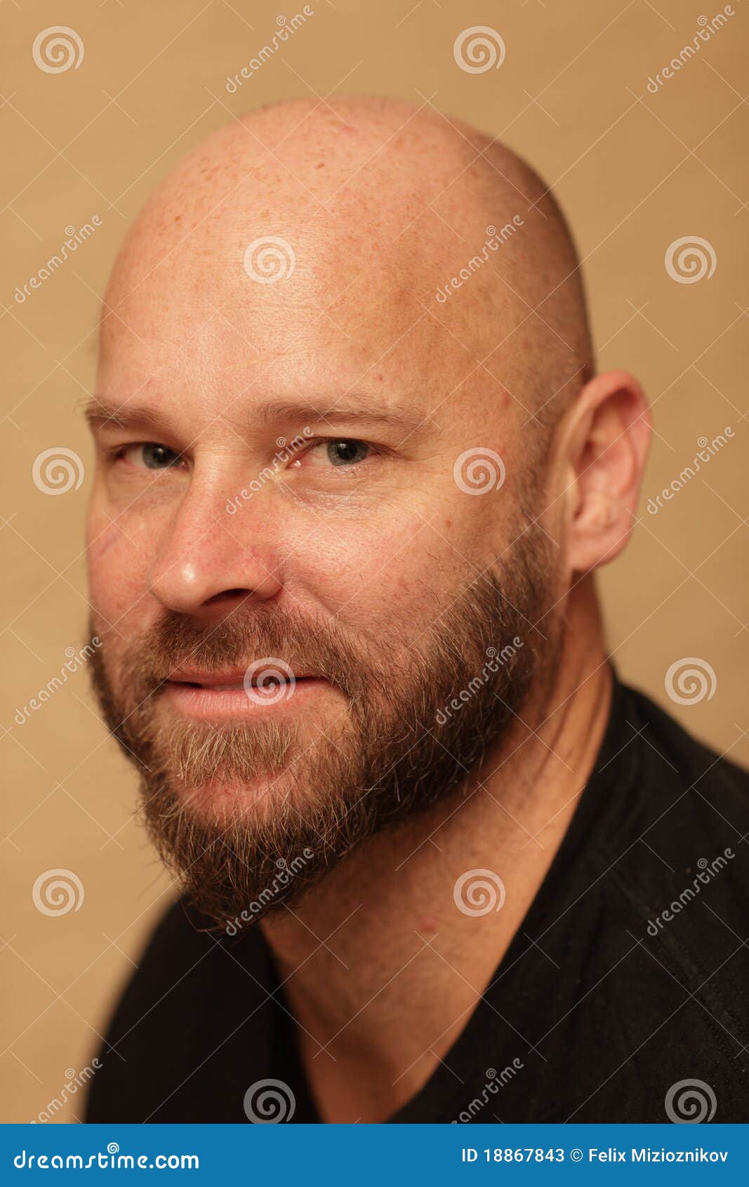 Homem calvo com uma barba imagem de stock. Imagem de careca - 18867843