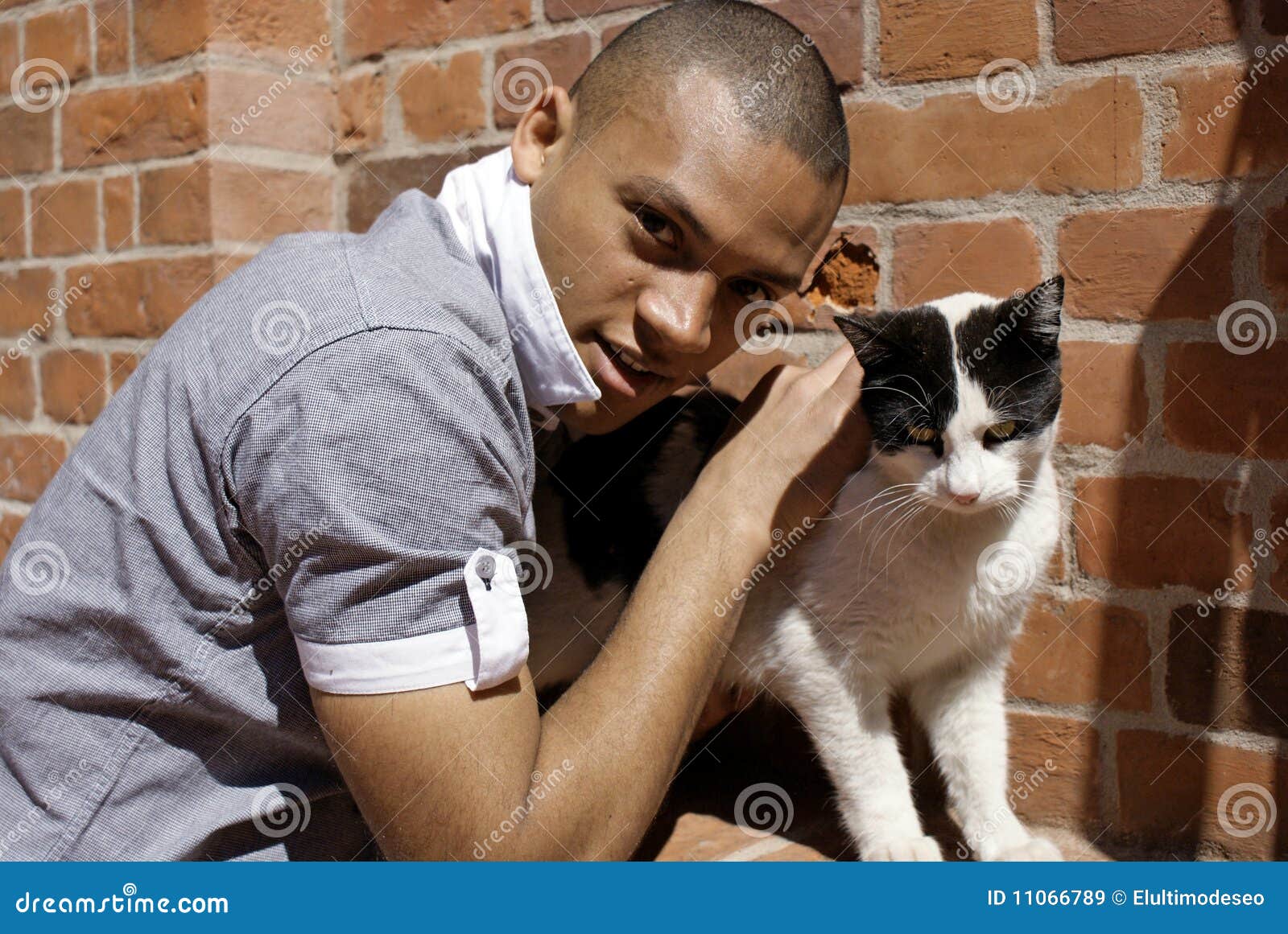 Homem com gato imagem de stock. Imagem de junto, homem - 11066789
