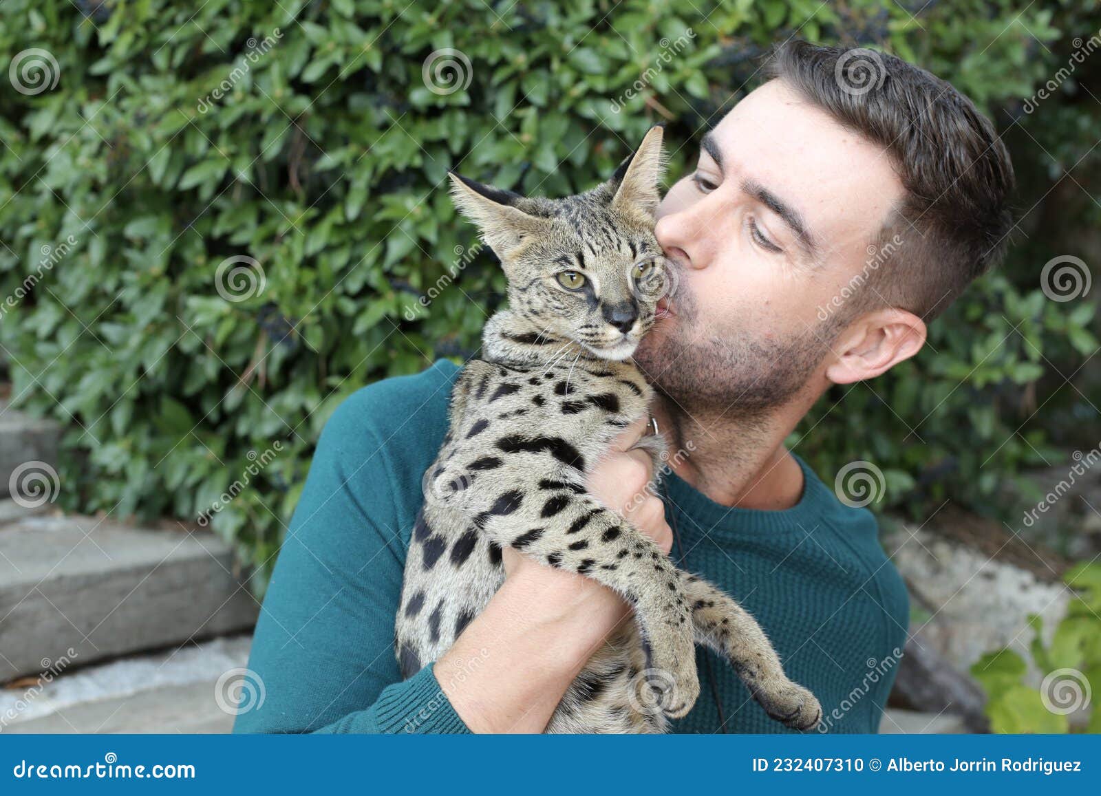 Homem com gato selvagem foto de stock. Imagem de nariz - 232407310